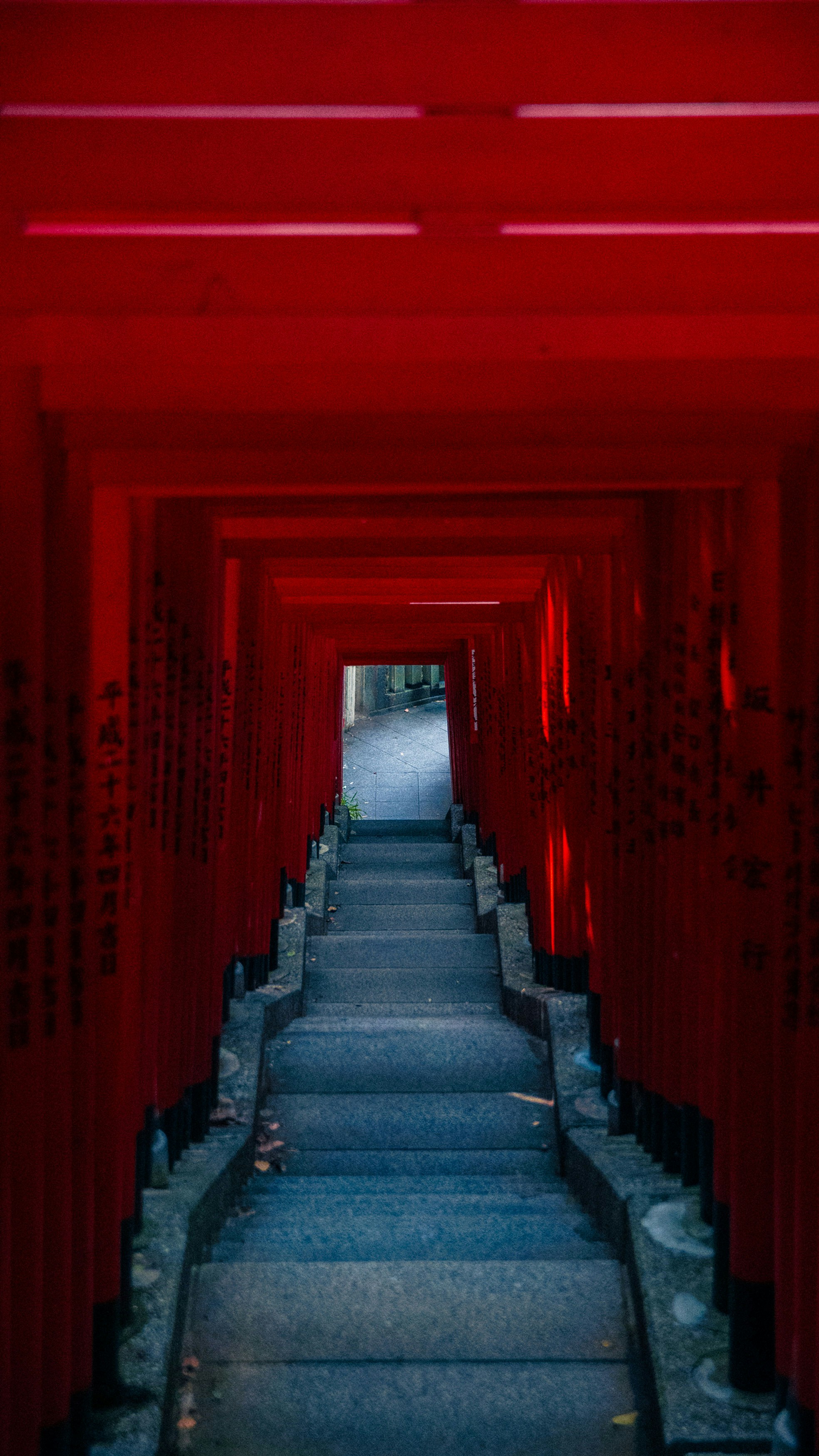A set of steps leading to a tunnel of red tori tori tori tori tori tori ...