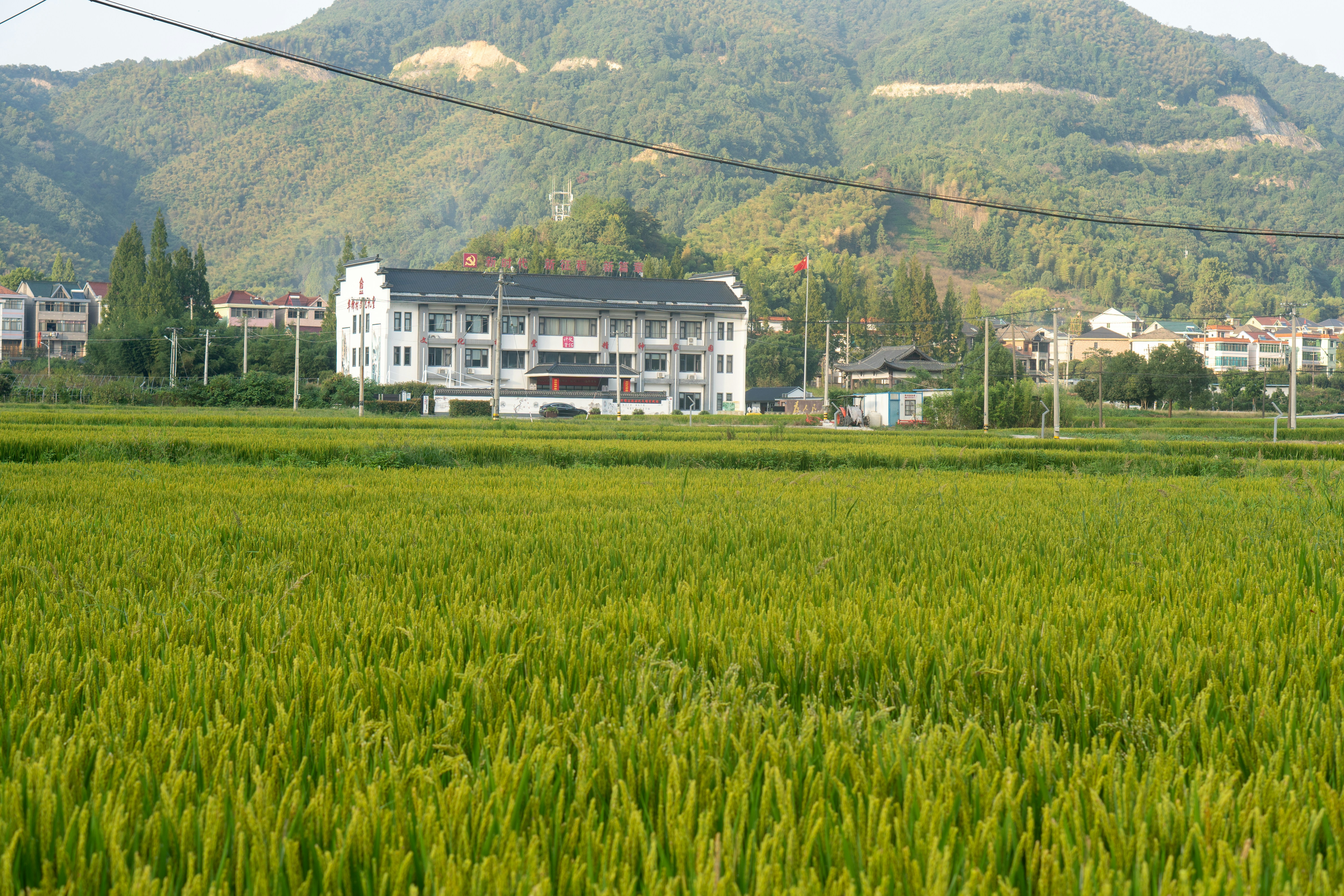 Lush green fields with a distant building and mountains under a clear sky.