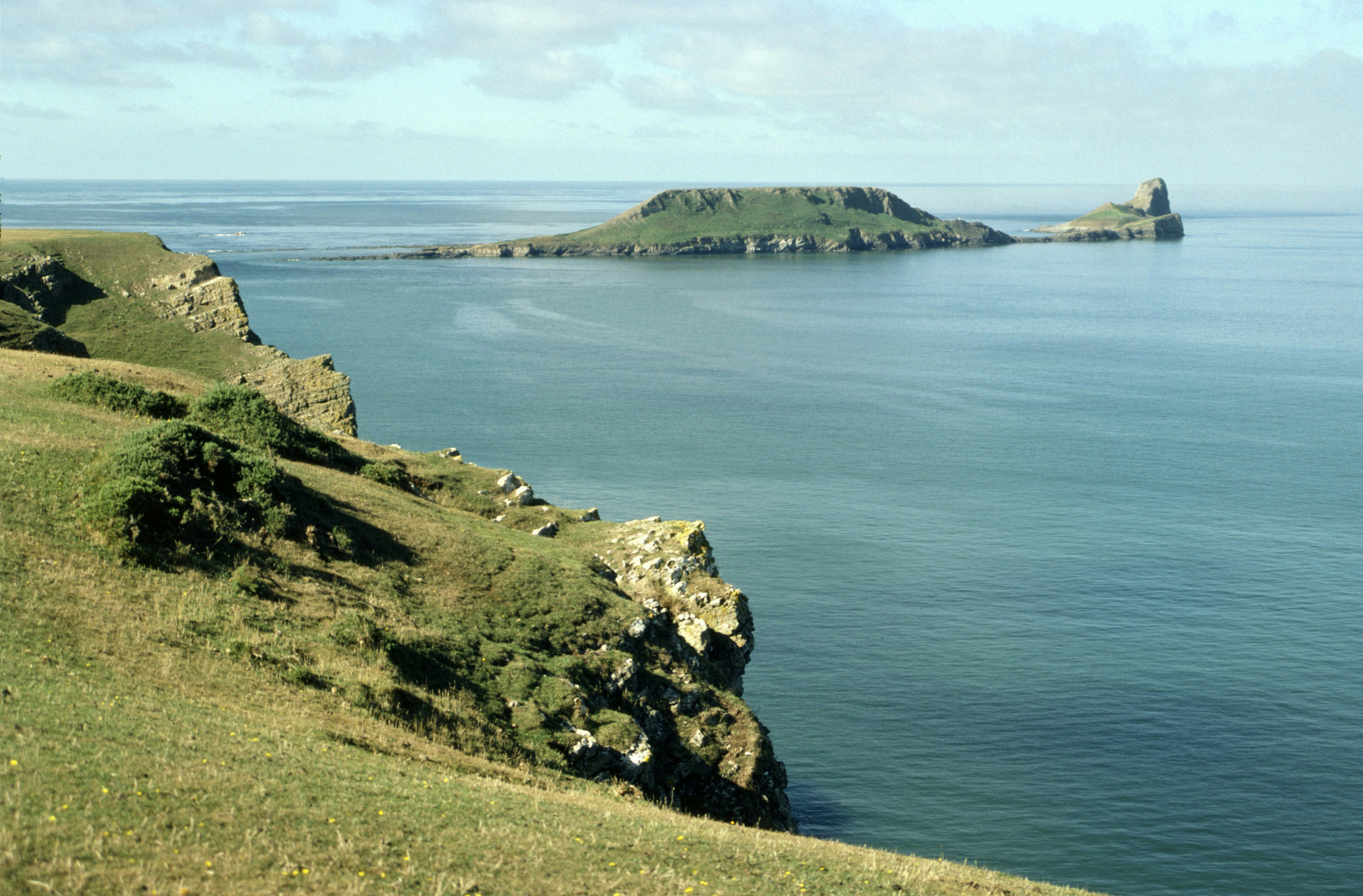 Leïla Sheikh: The Truth Bearer - by Penn Kilpoet