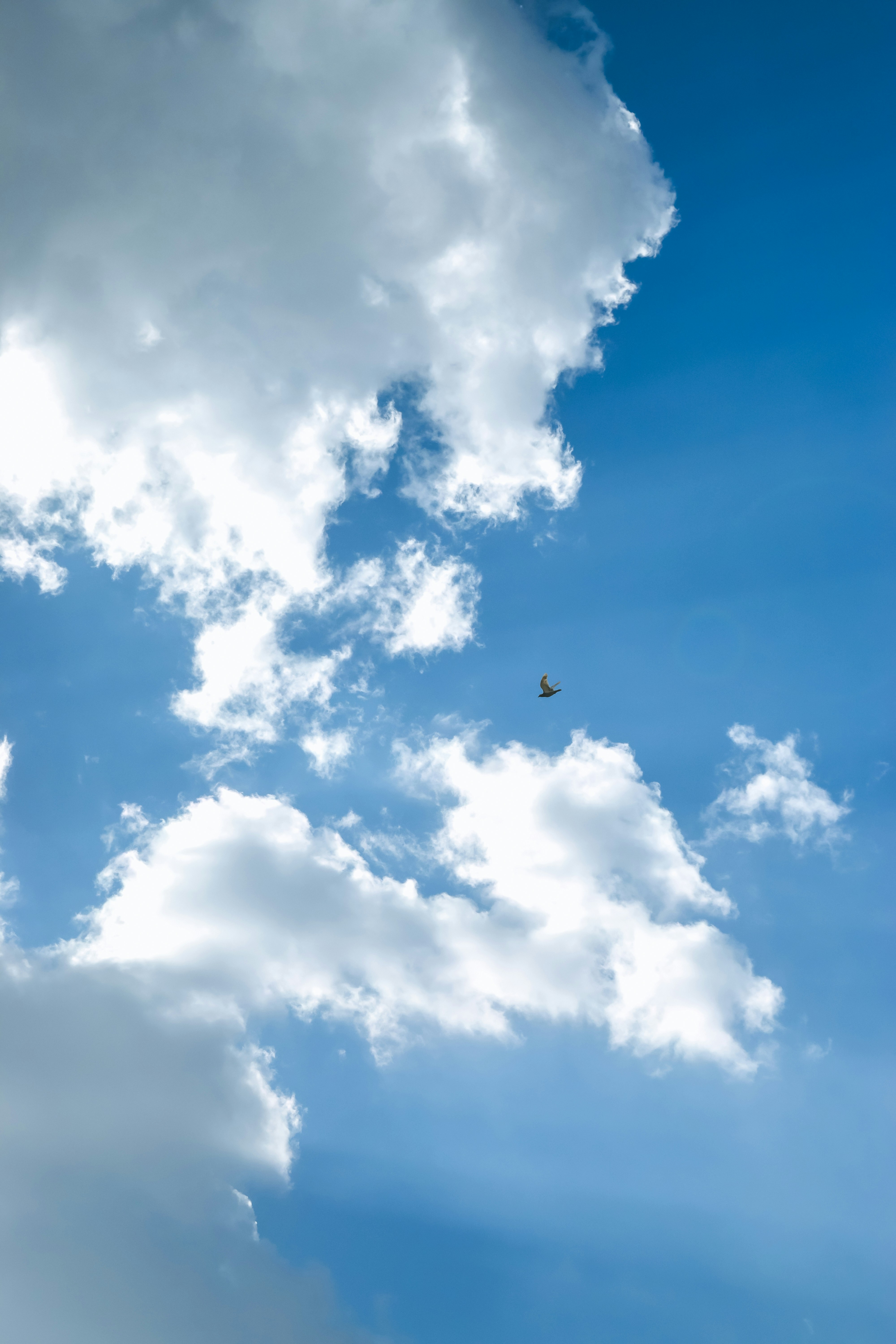 Photo by Ibrahim Mansoor with Nikon D3300