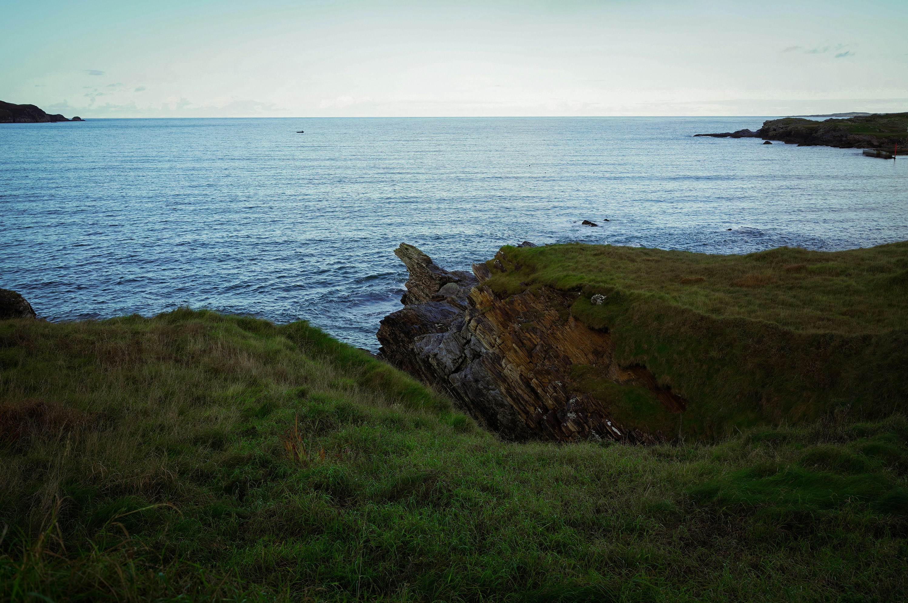 Grassy cliffs overlooking a calm sea under a clear sky at dusk.