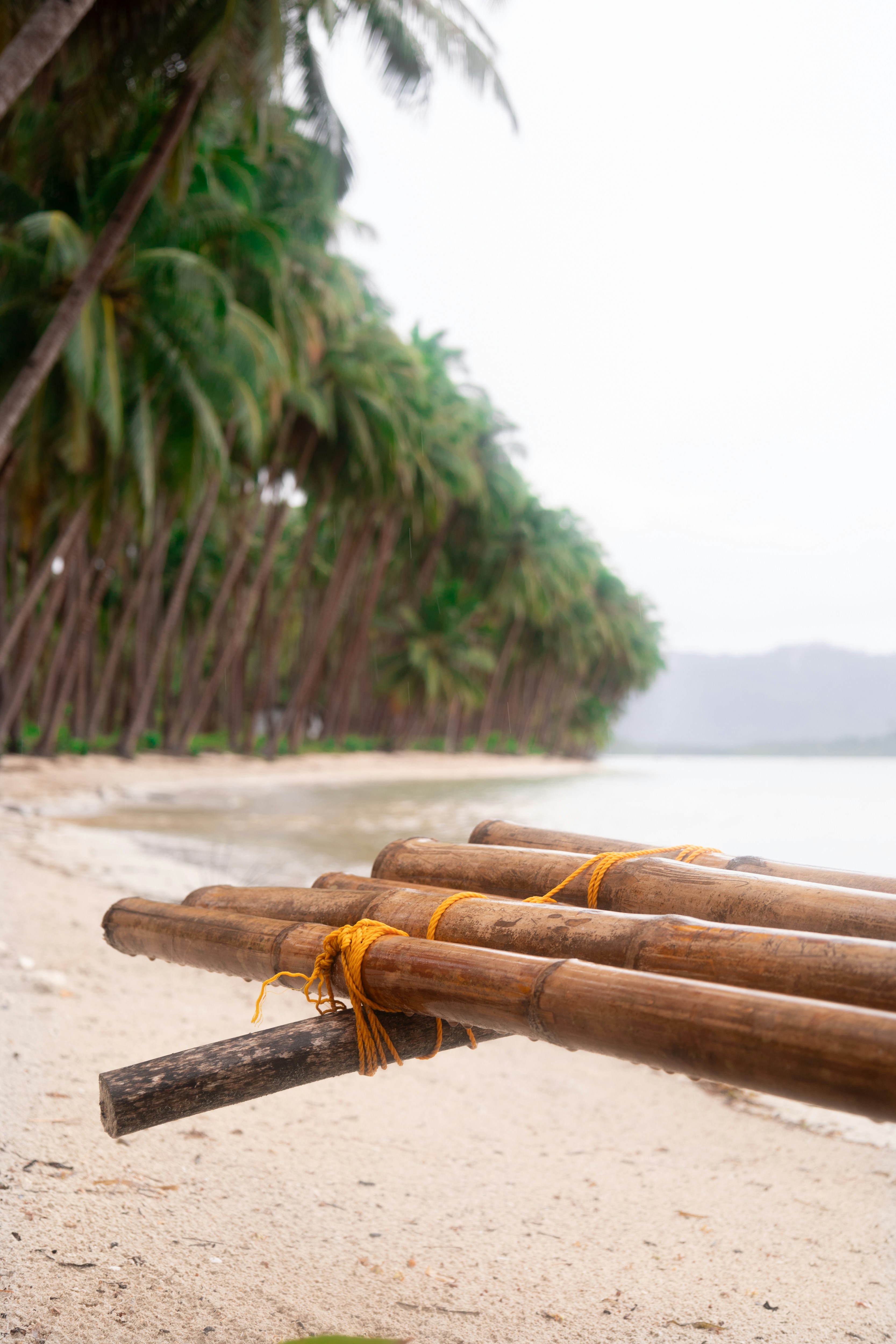 Shoreline Weave: Bamboo Raft Tied in Tropical Light