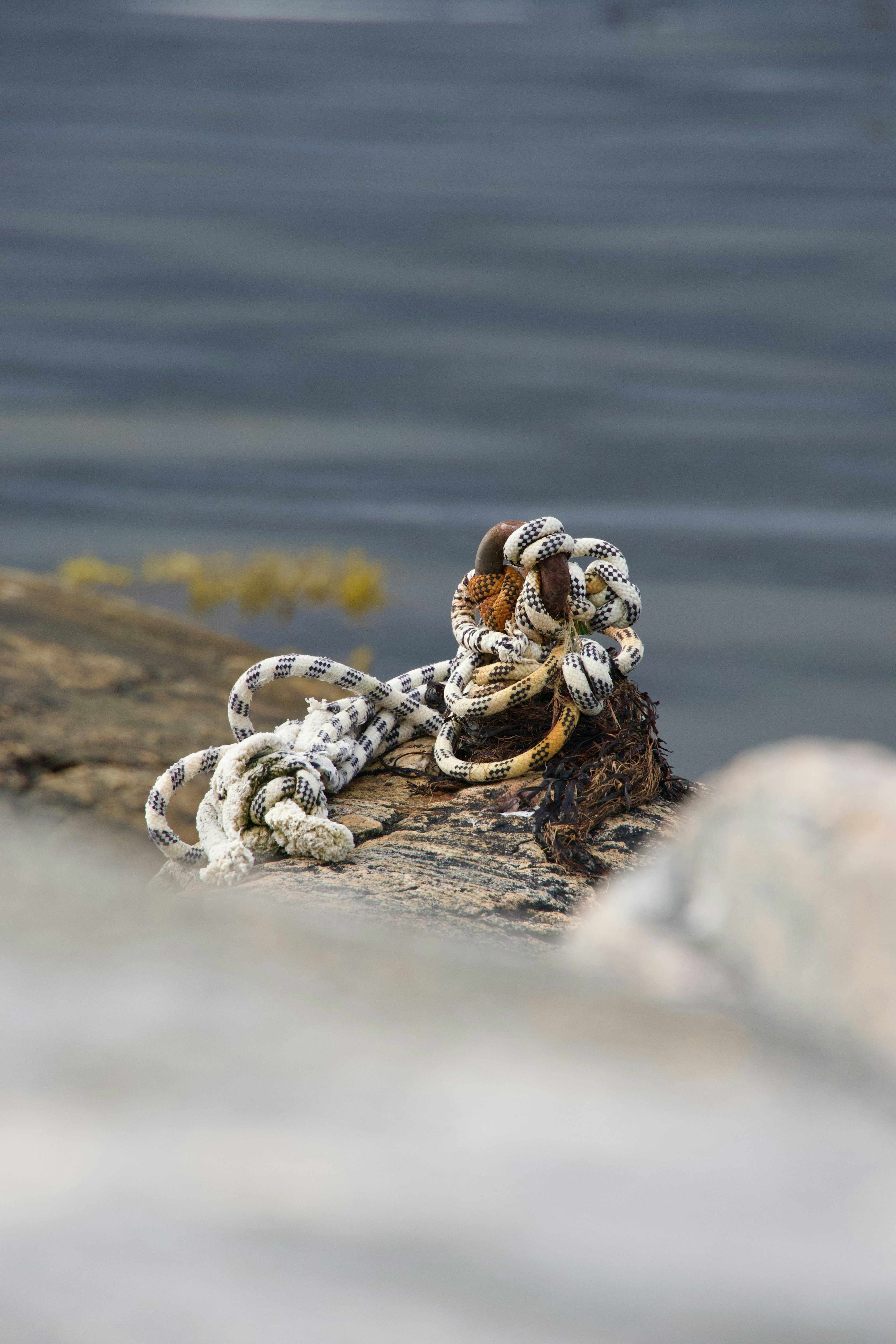 Knot at the Waterline: Rope on Weathered Rock