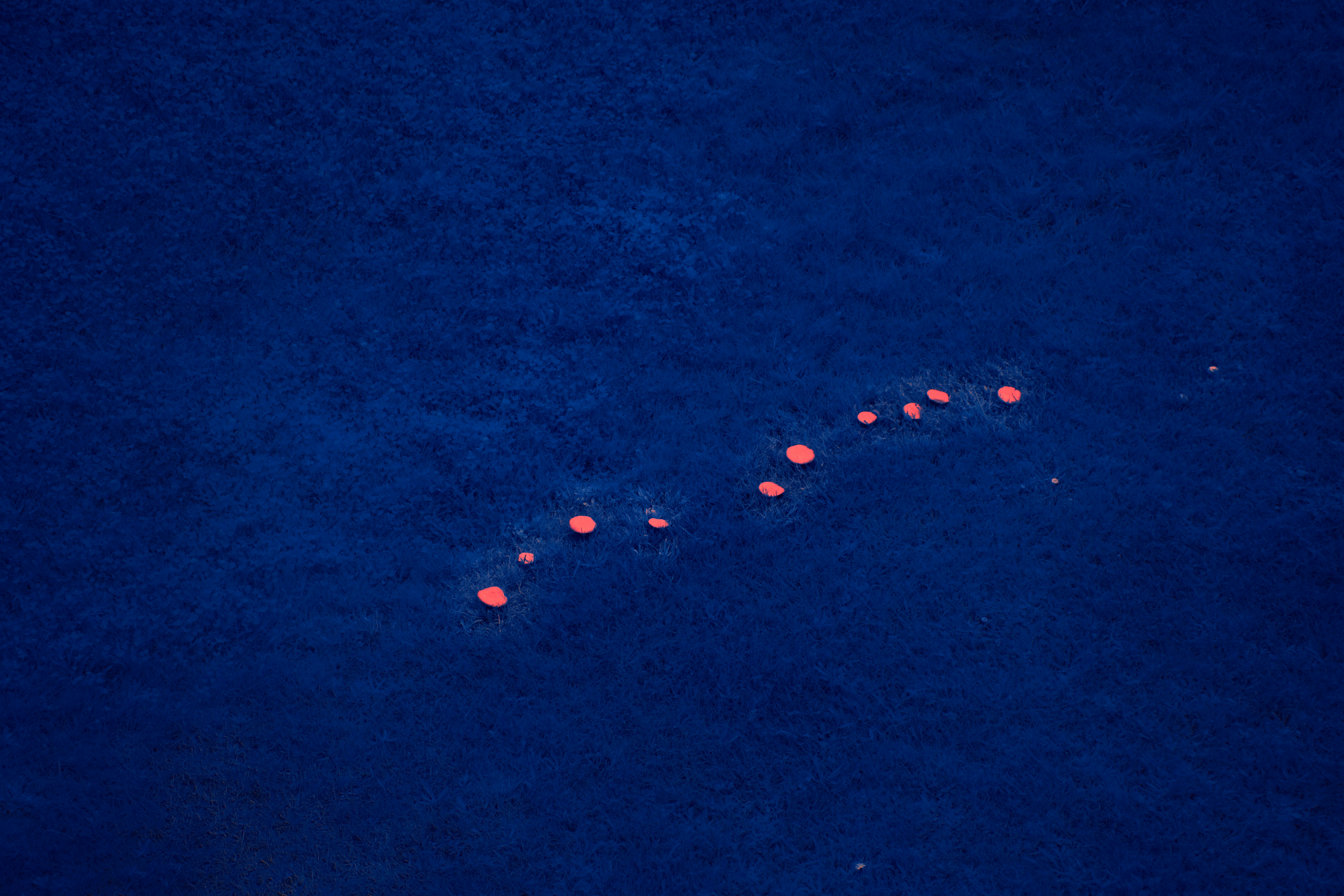 A group of red dots on a blue surface photo – Free Night Image on Unsplash