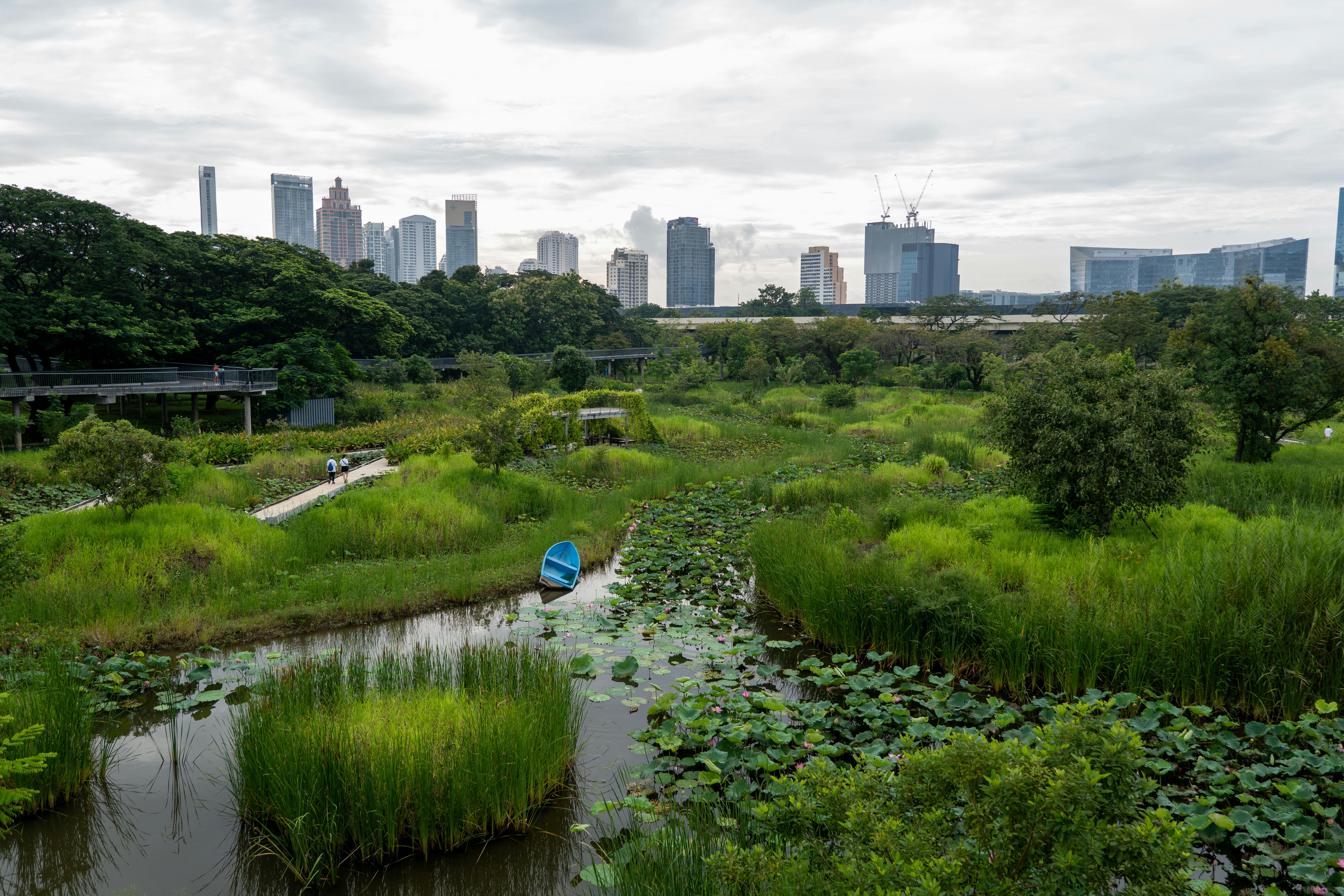 Lush greenery and a serene pond foreground a distant urban skyline under overcast skies.