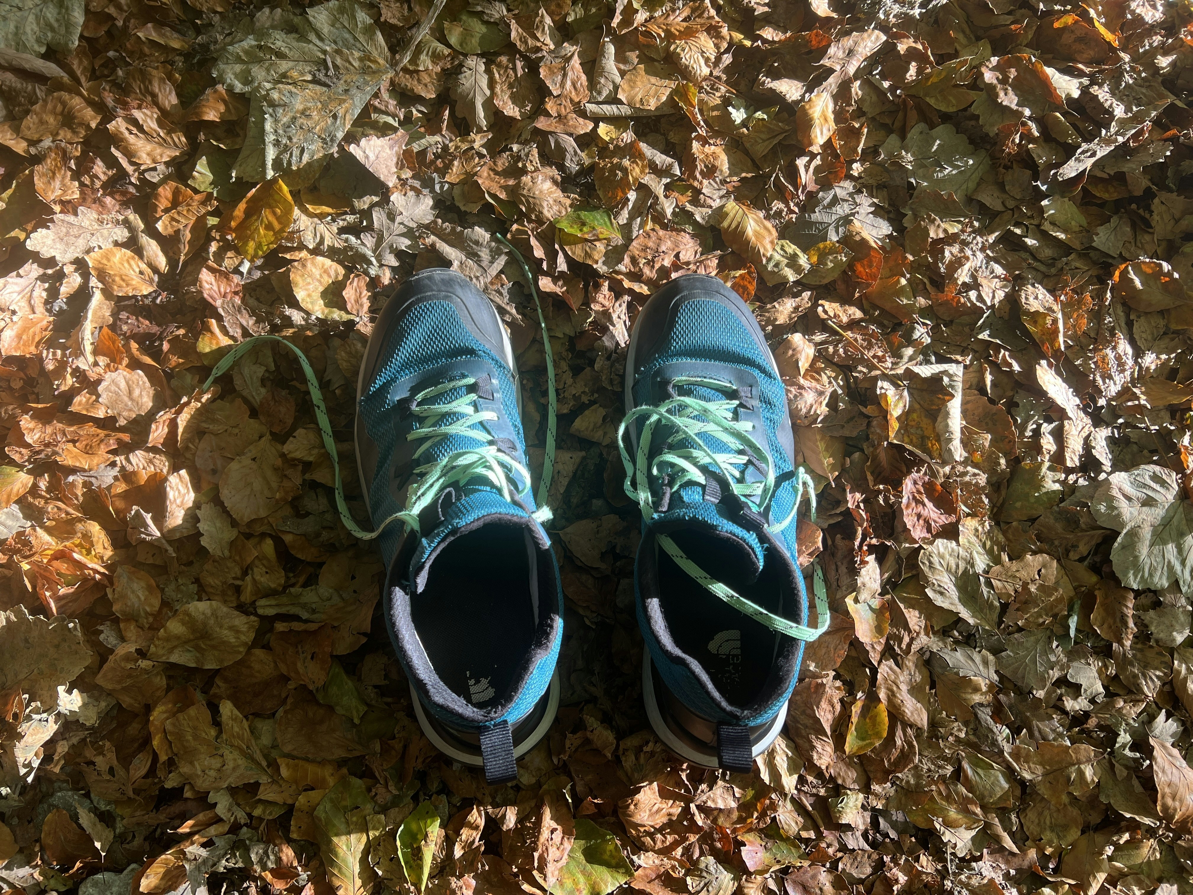 Teal Sneakers on a Leaf Carpet: A Top-Down Autumn Moment