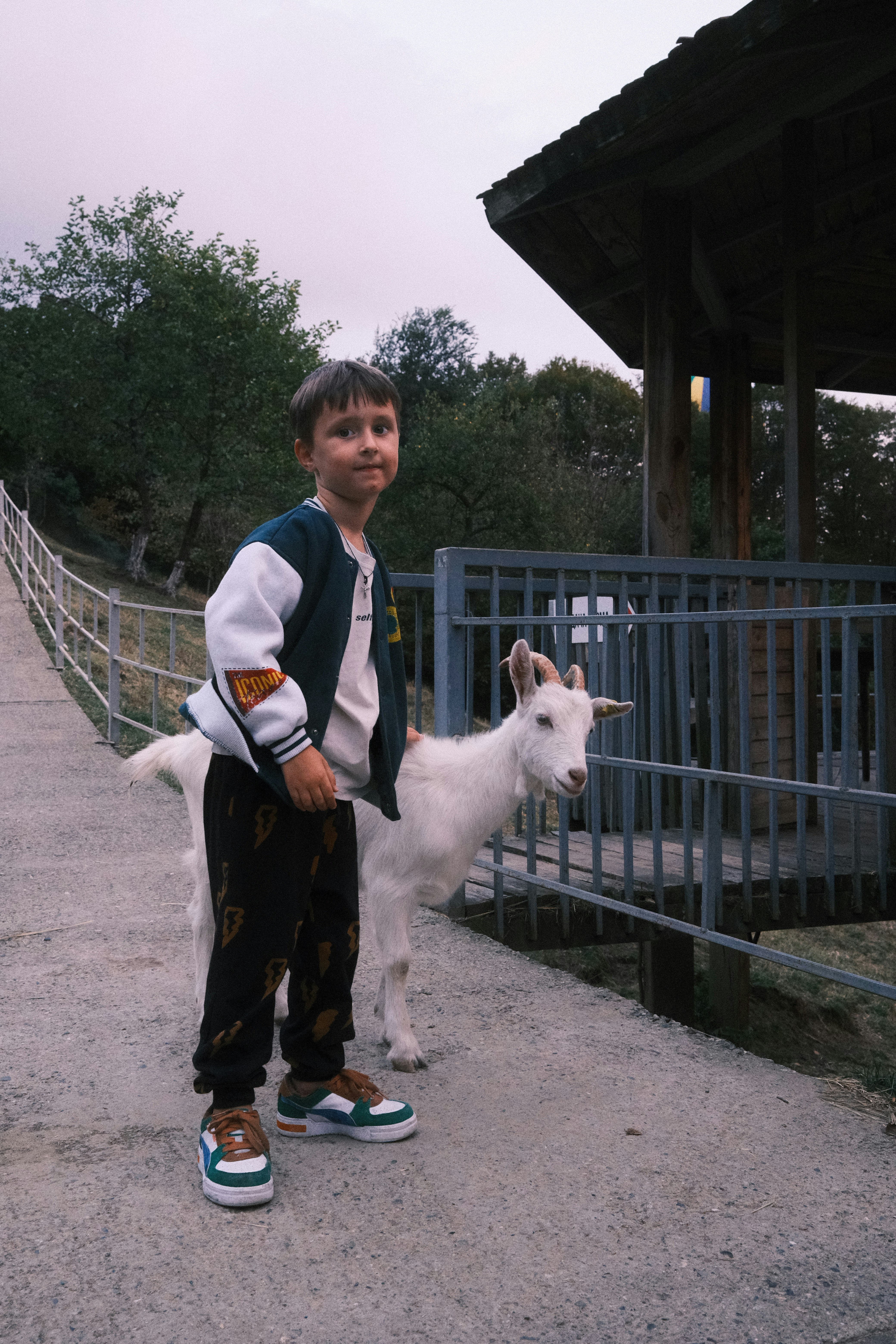 Quiet Gazes on a Gravel Path: Boy and Goat by the Farm Fence