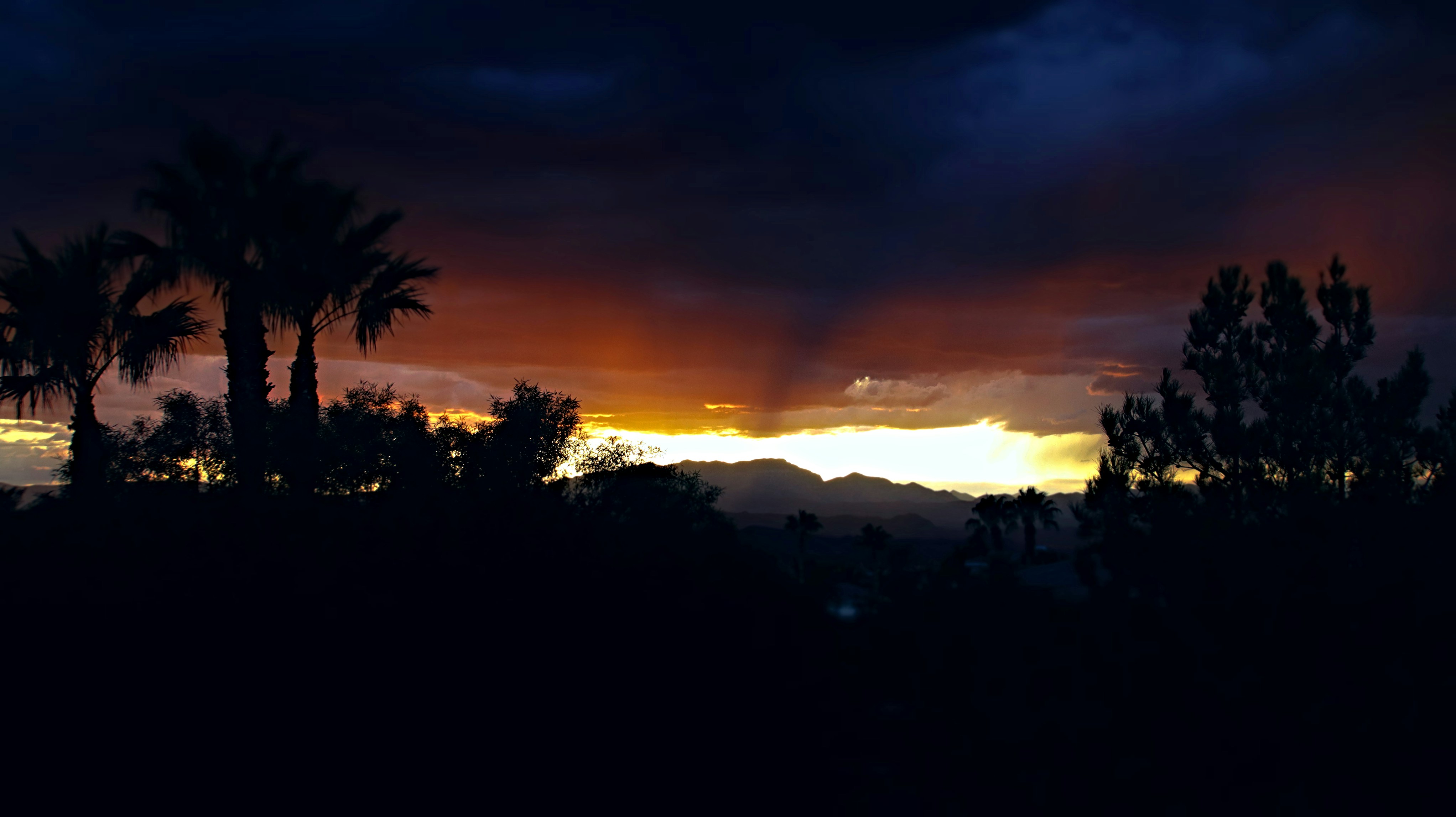 Molten Horizon Between Silent Palms