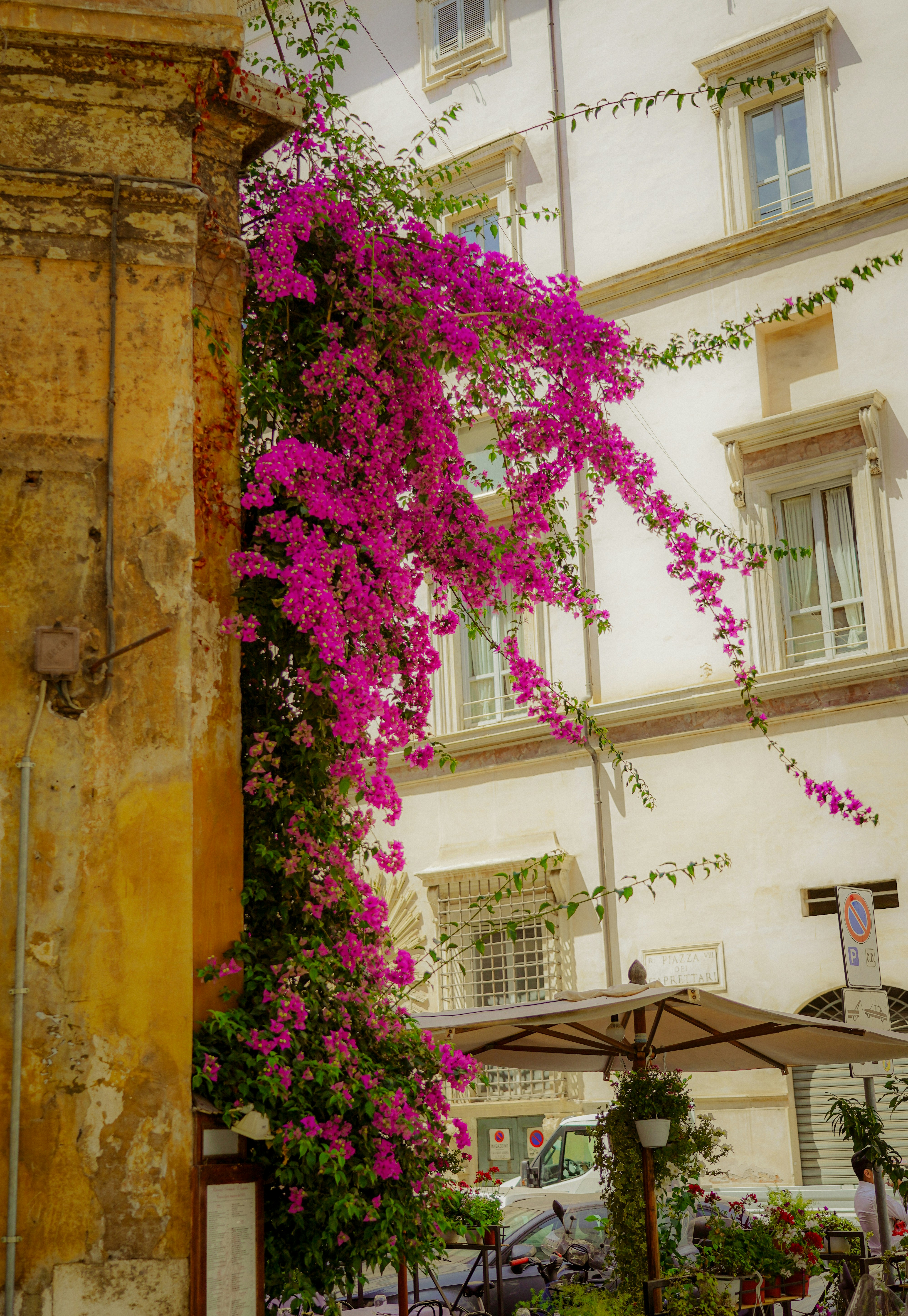 Bougainvillea Cascade Draping a Sunlit European Courtyard
