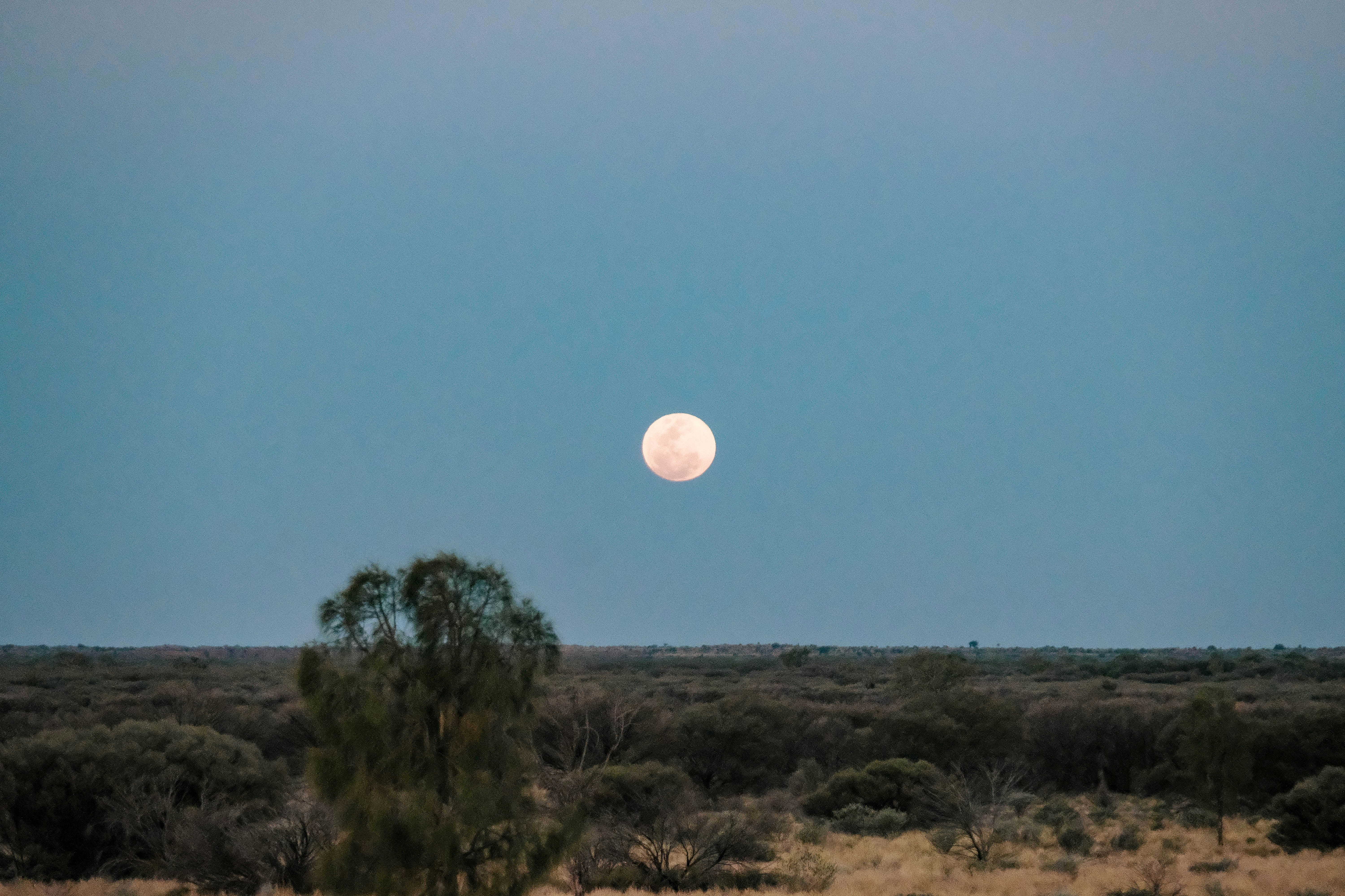 Full Moon Over the Prairies