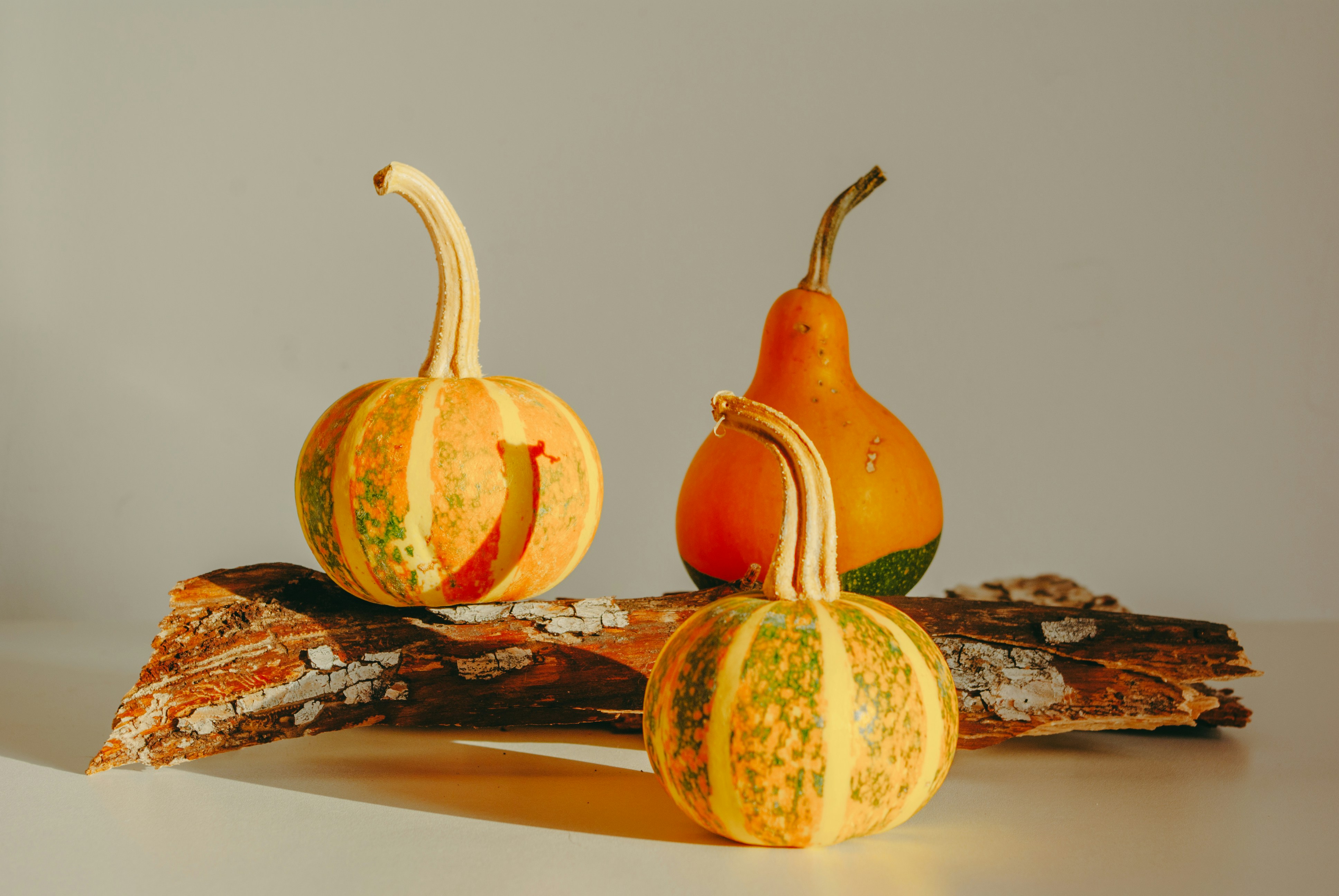 A couple of gourds sitting on top of a piece of wood photo – Free Food ...