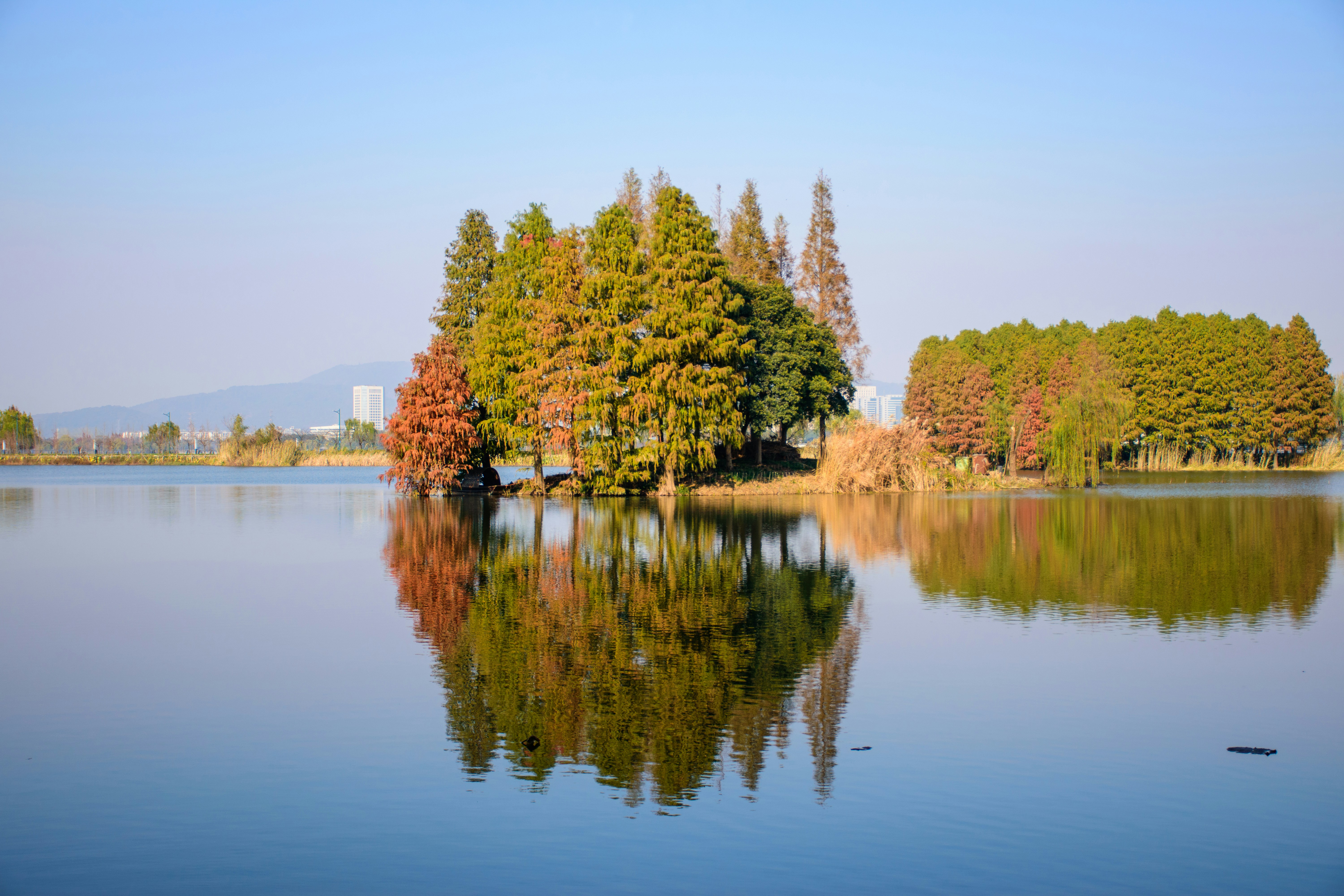 A body of water with trees in the background photo – Free Wuxi Image on ...