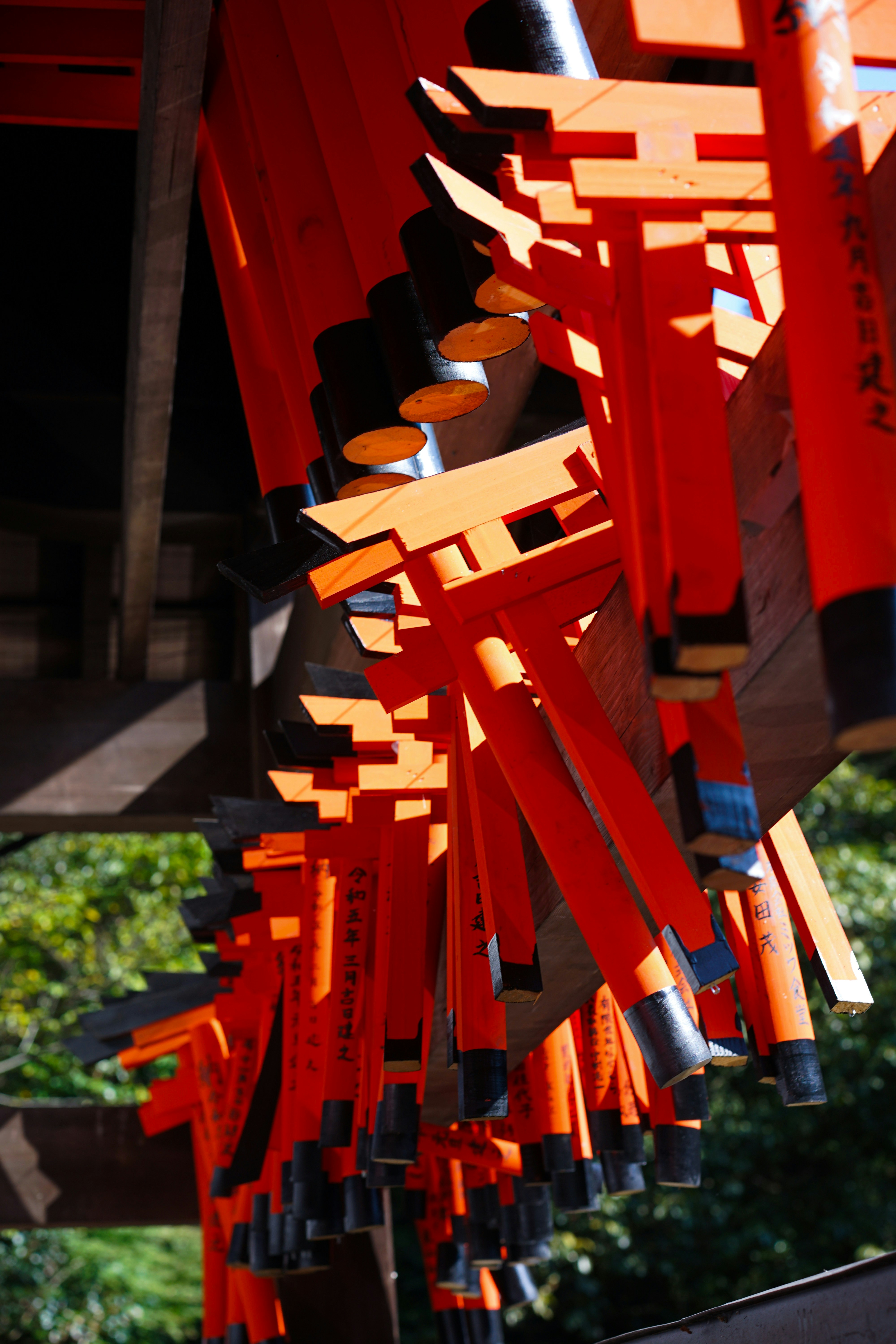 Red Torii Cascade: A Sunlit Corridor Through the Shrine Gates