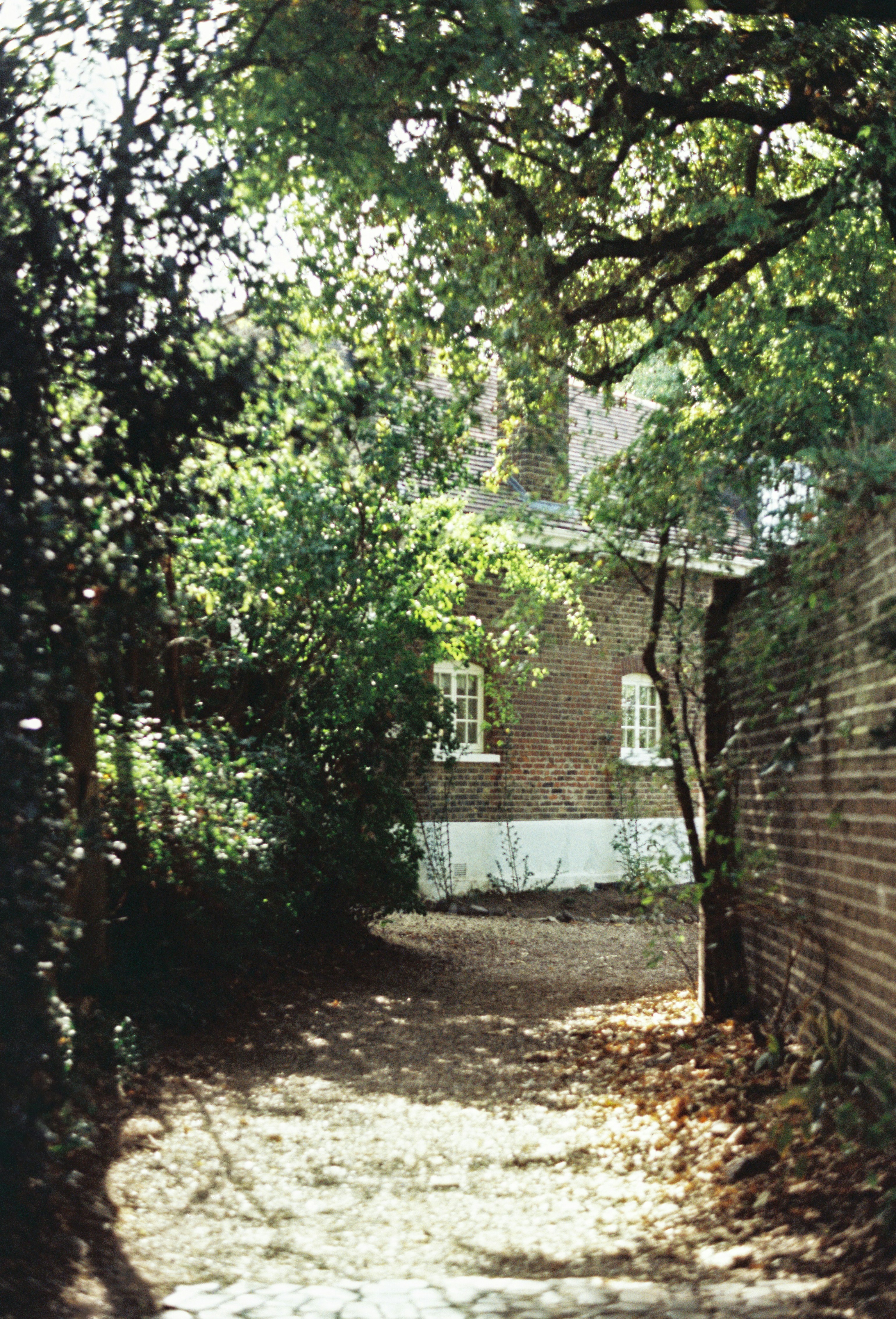 An alley way with a brick building and trees photo – Free Path Image on ...
