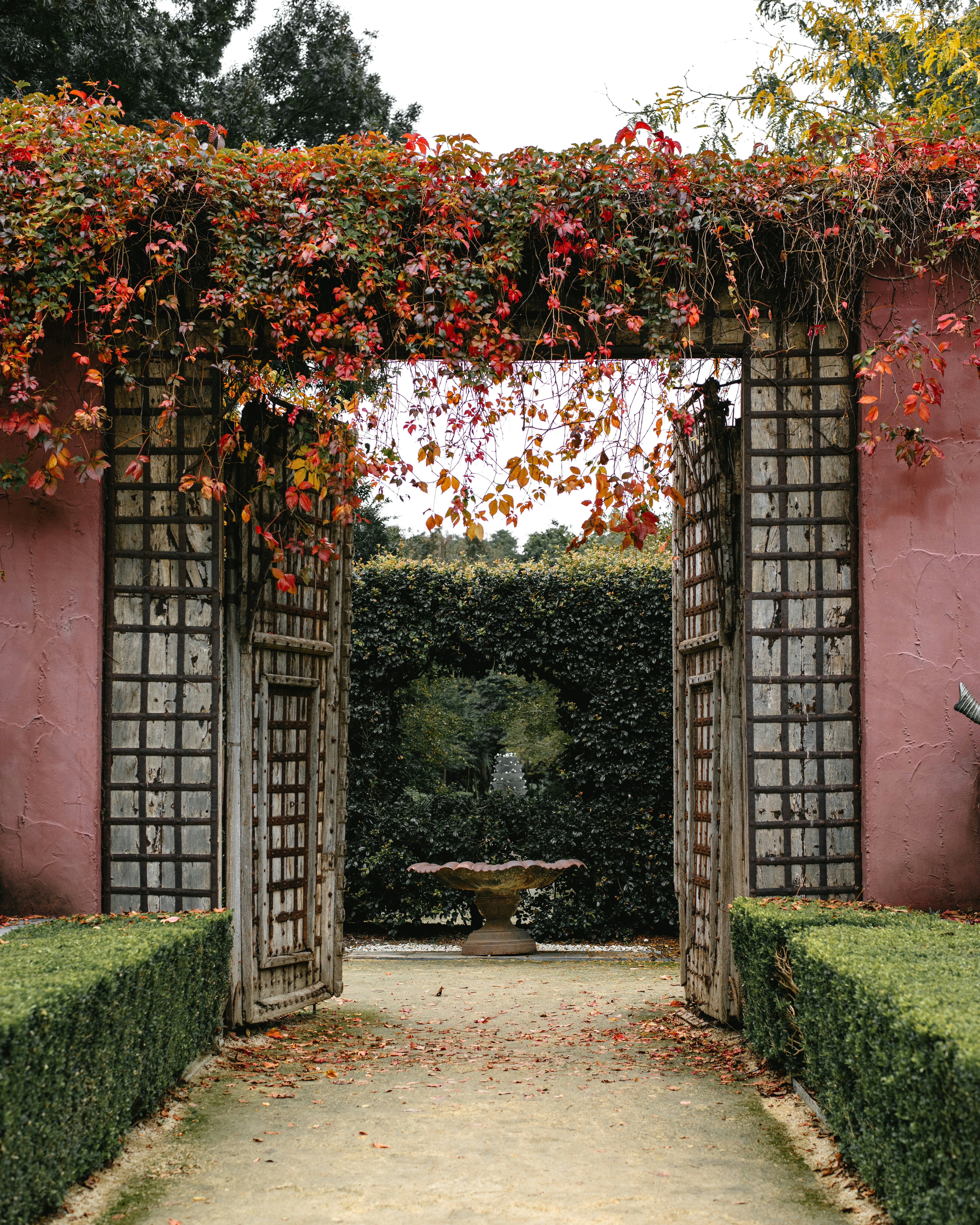 A garden with hedges and a fountain in the middle of it photo – Free ...