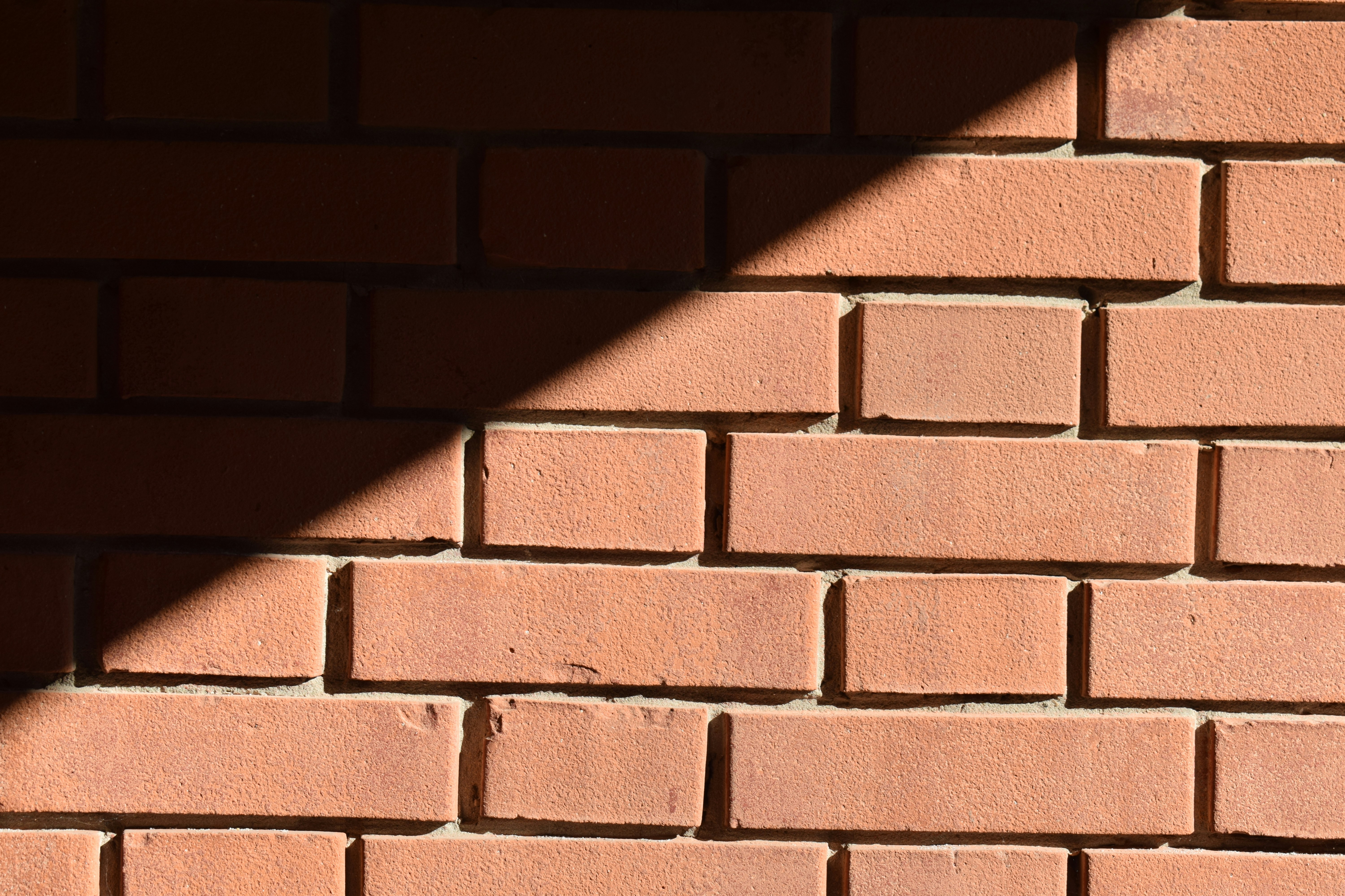 Photo by Marija Zaric with Nikon D5300