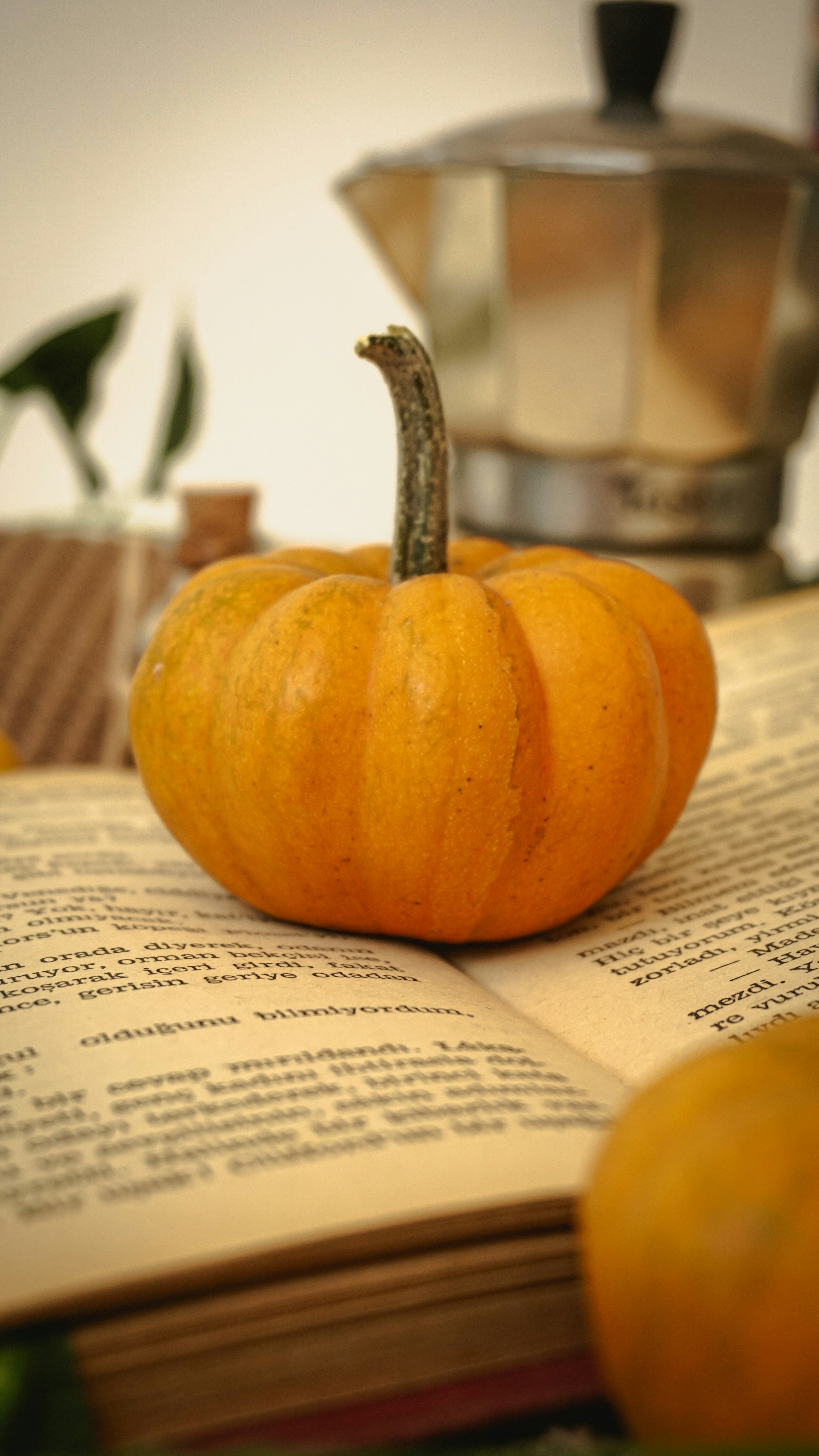 Pumpkin on Page: A Quiet Autumn Moment by the Stove