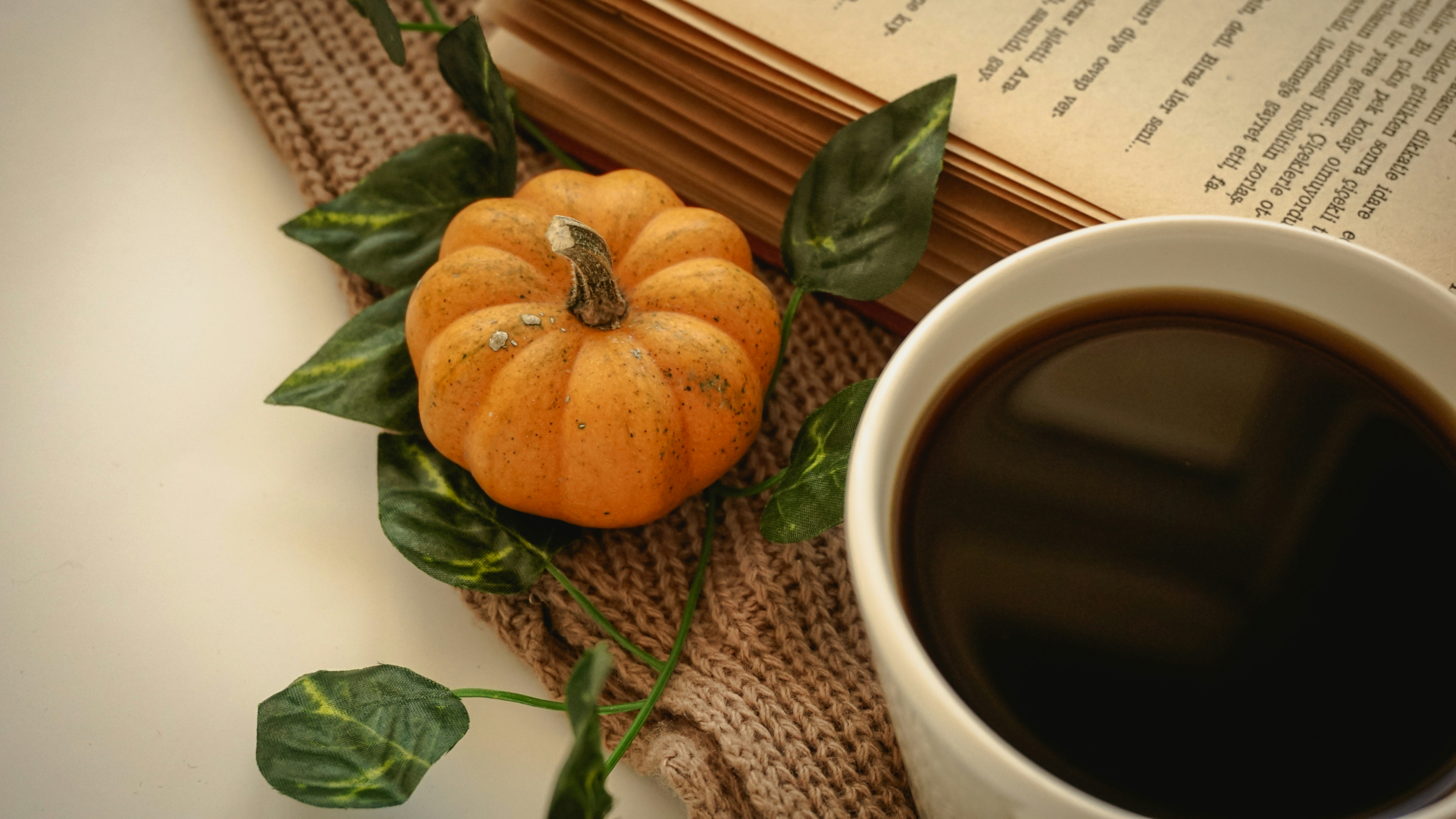 Small Pumpkin, Bold Coffee: A Quiet Morning Still Life