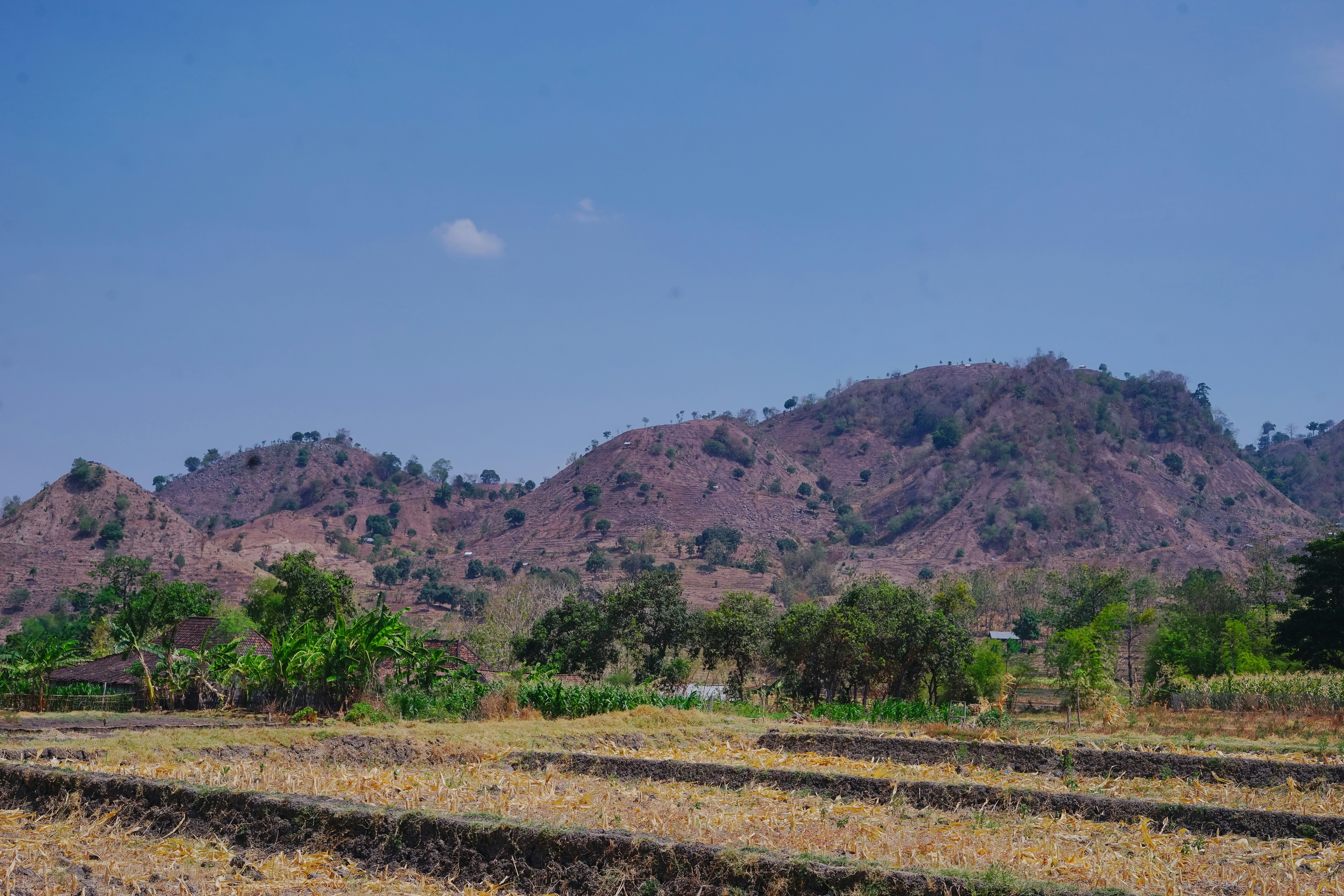 mountain views in the dry season
