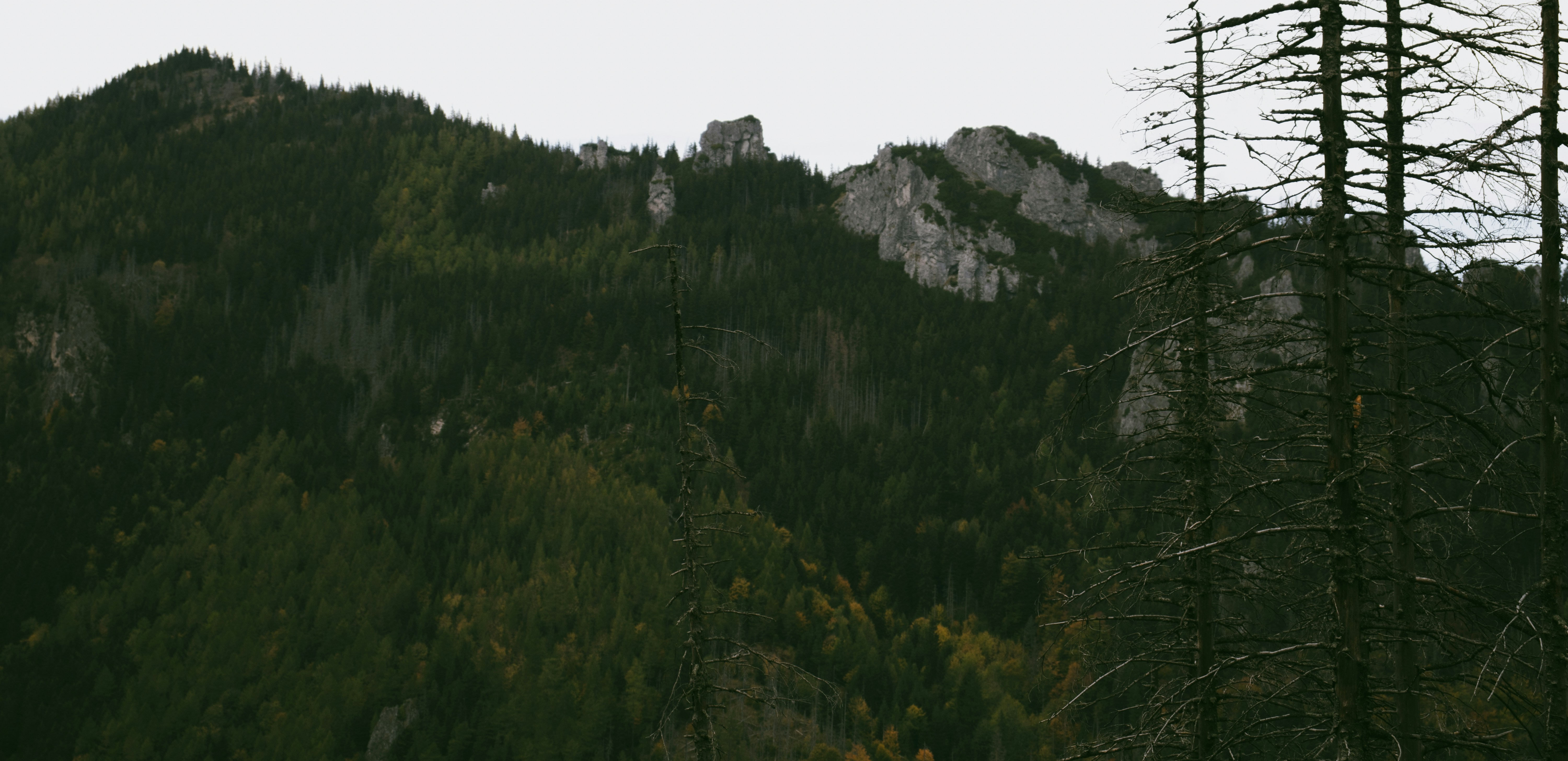 Photo by Andrey Volk with Canon EOS 250D