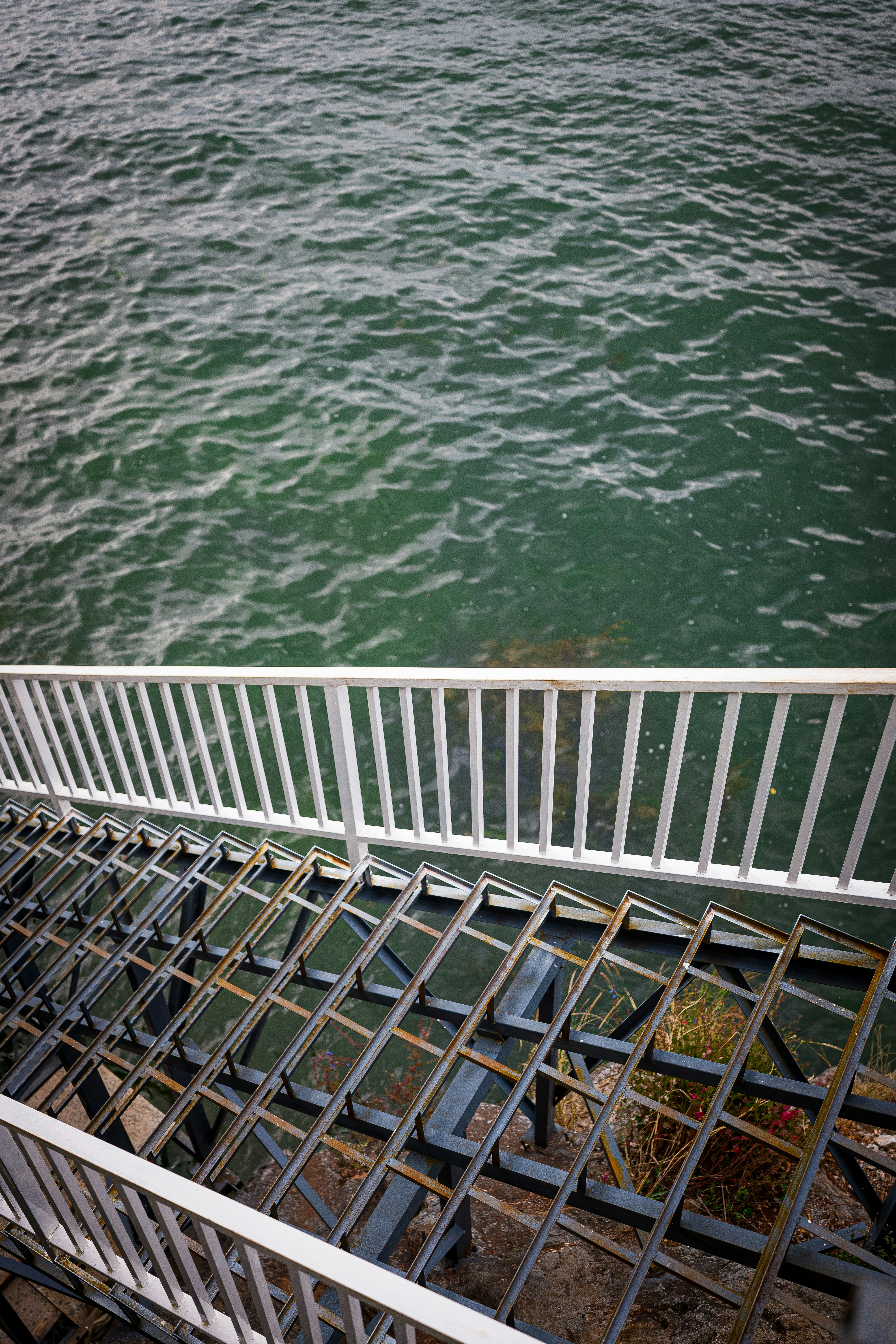 Railing Over Ocean: A Bridge Between Metal Grids and Green Waters
