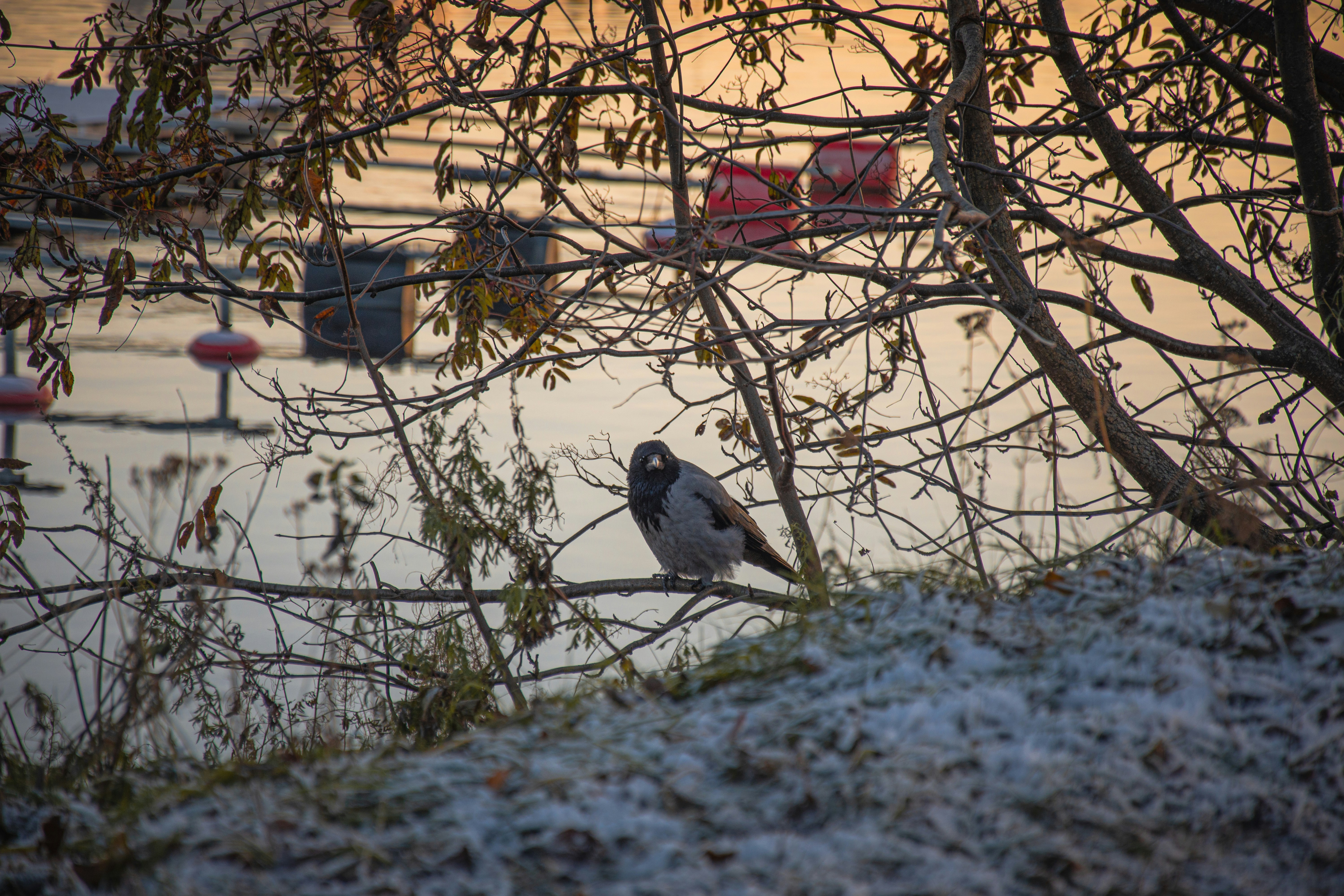 Photo by Aleksi Partanen with Nikon D7200