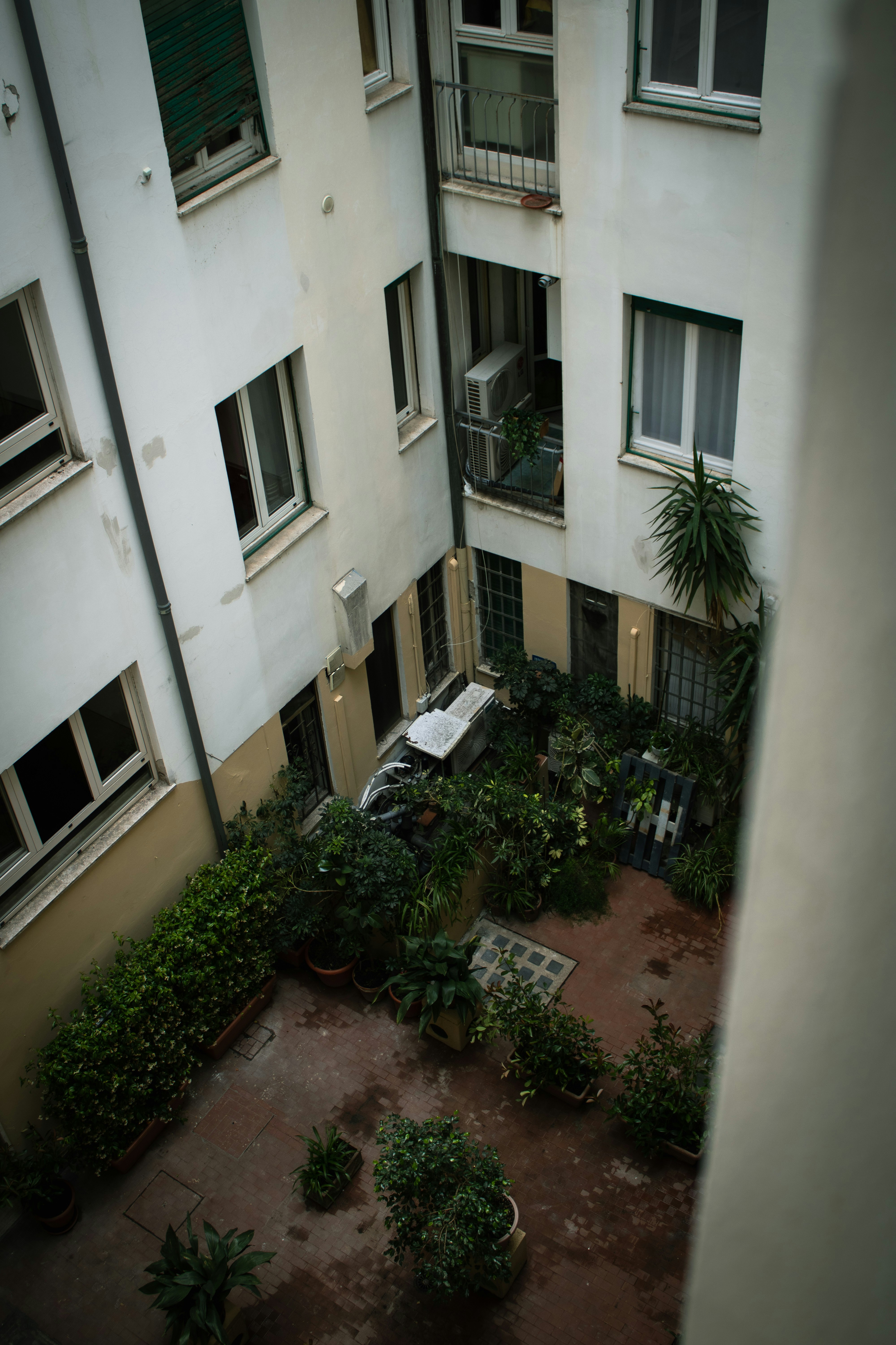 Courtyard Between Walls: A Quiet Green Nook Amid Concrete
