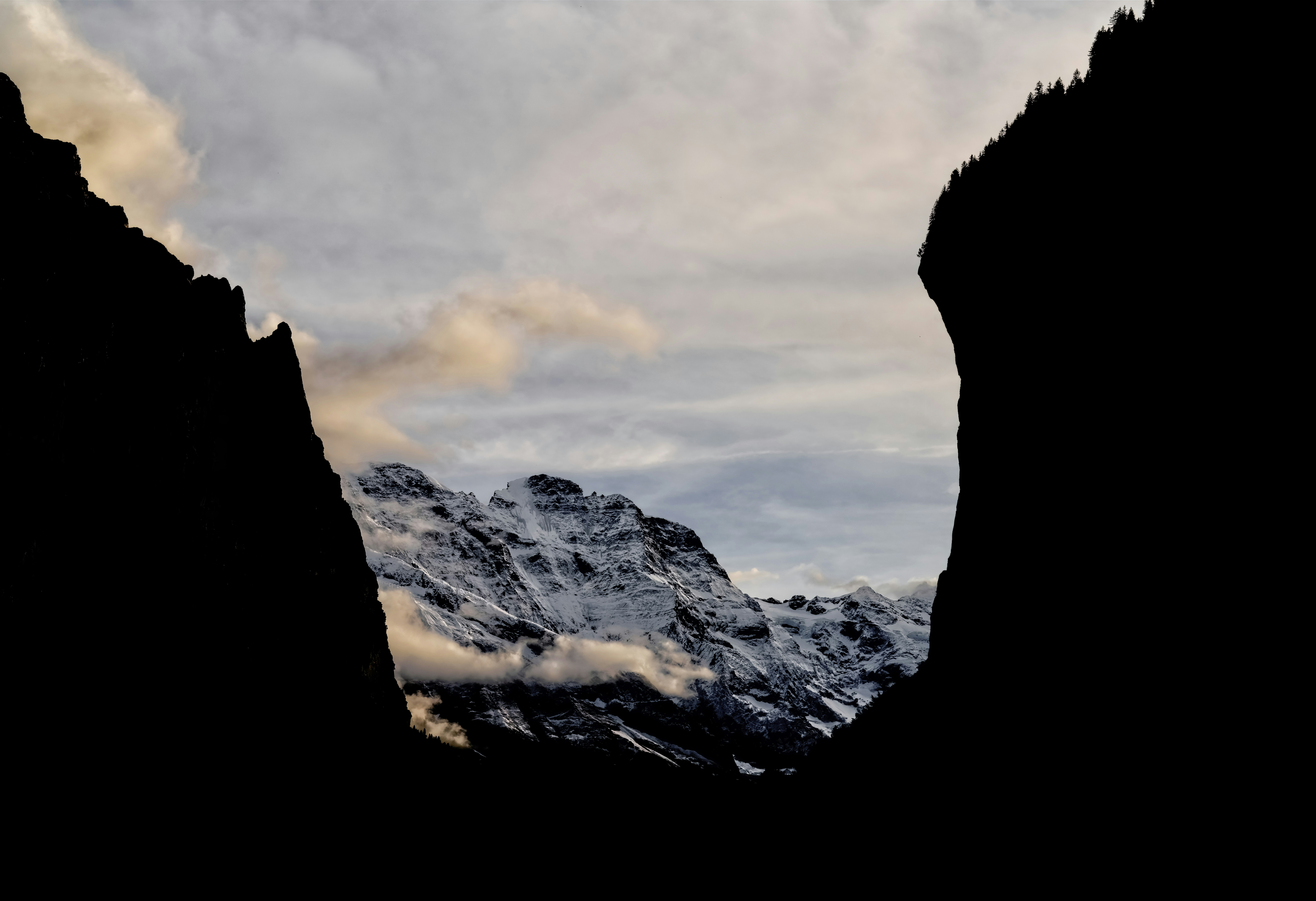 Framed Silence: Snow-Capped Peaks Beyond Dark Gorges