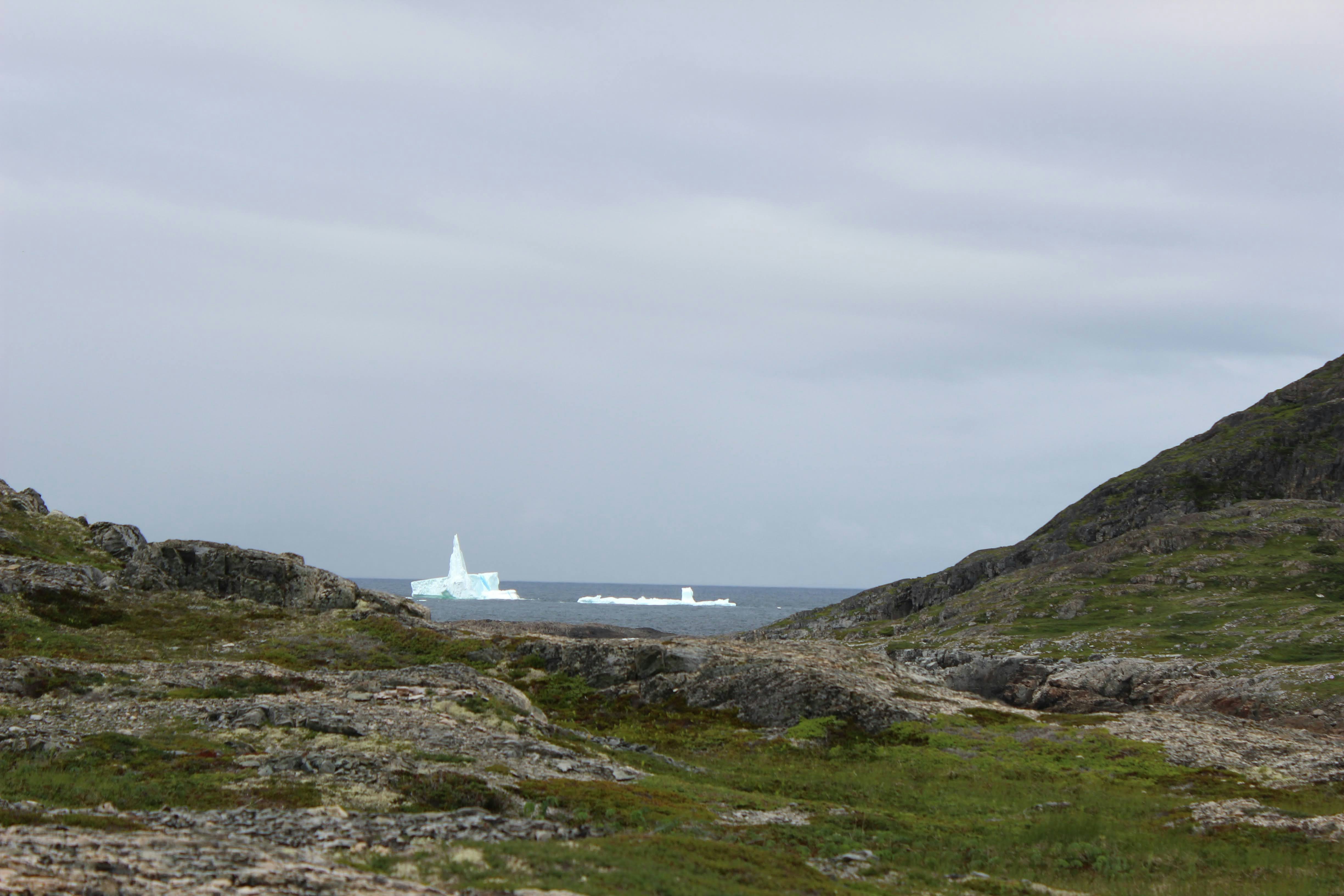 Ice on the Edge: Pale Bergs Framing a Rugged Coastal Plain