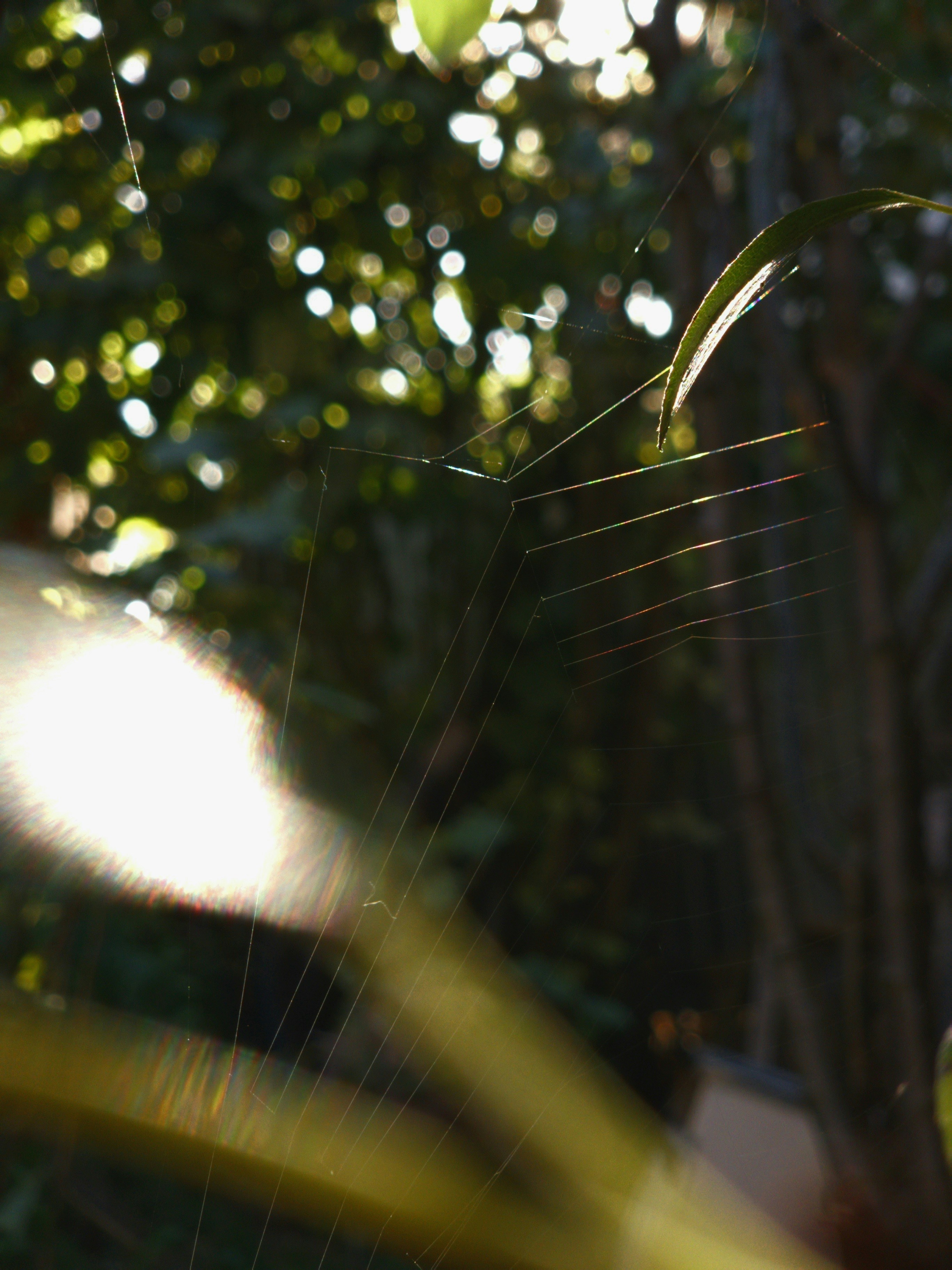 Photo by Belmin Aljovic with Samsung Galaxy S22