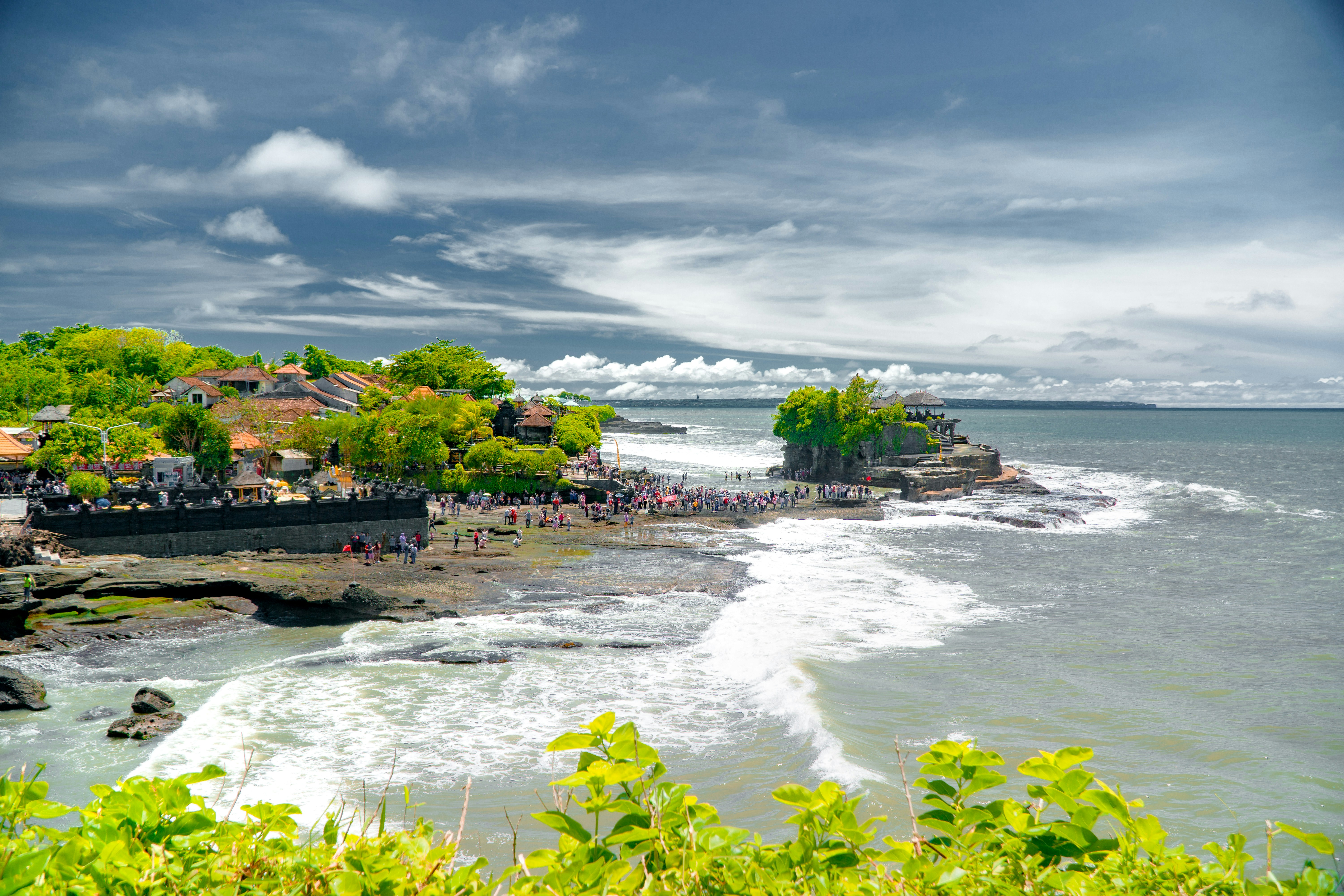 Lively Shoreline Assembly on a Verdant Promontory