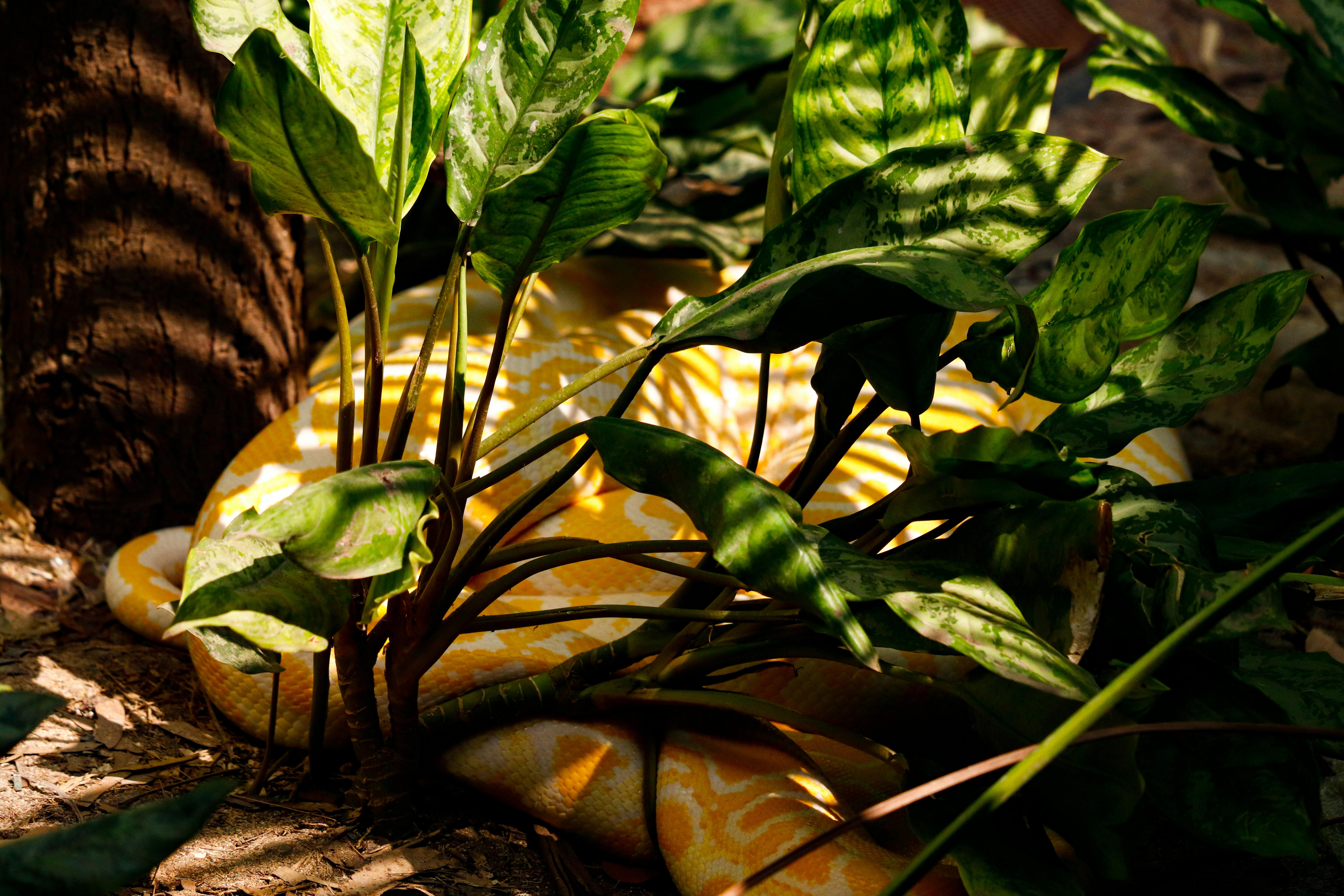 Photo by Ish Consul with Canon EOS 200D