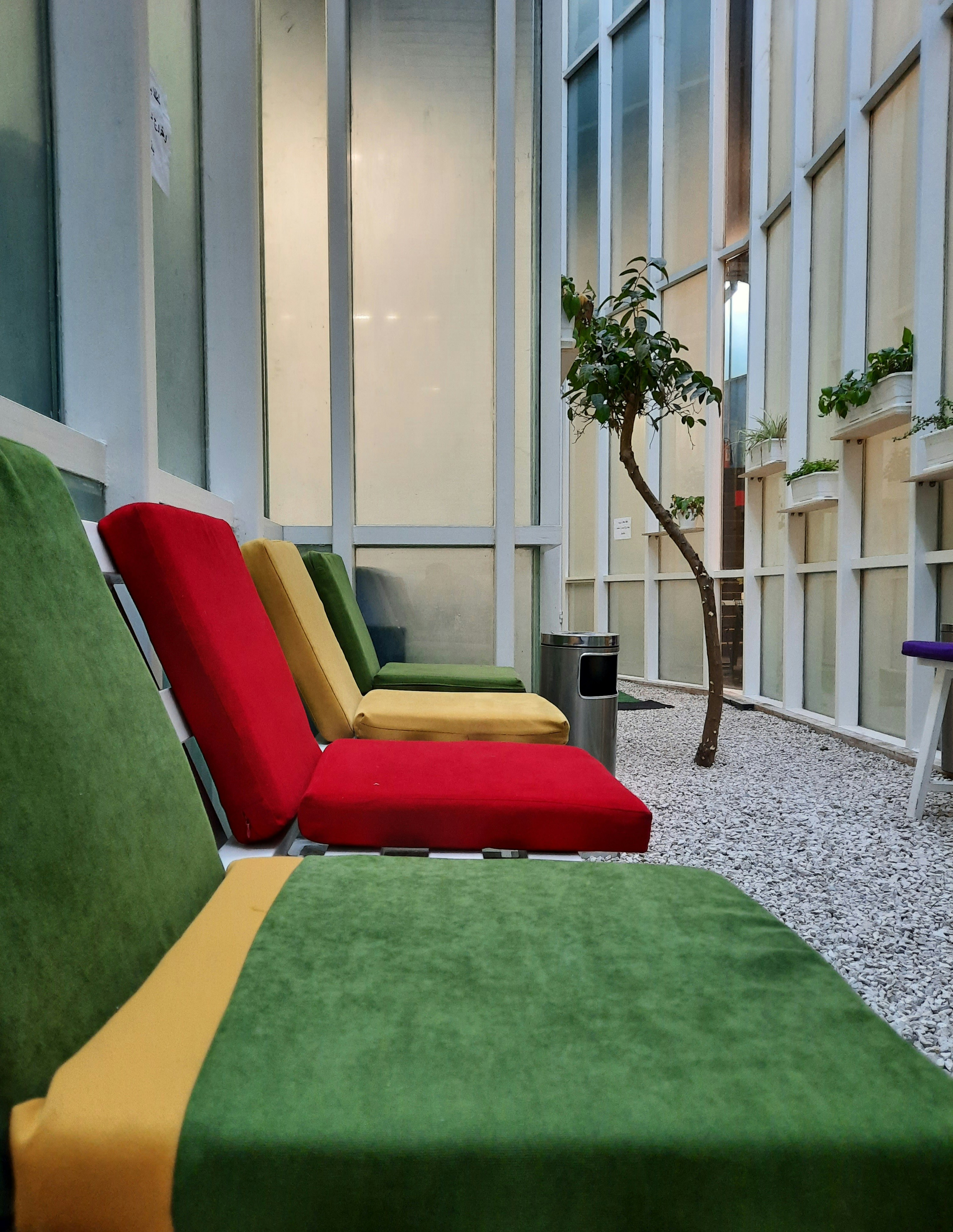 Colorful lounge chairs line a glass-walled atrium, with a small tree and pebble floor, photographed from a low angle.
