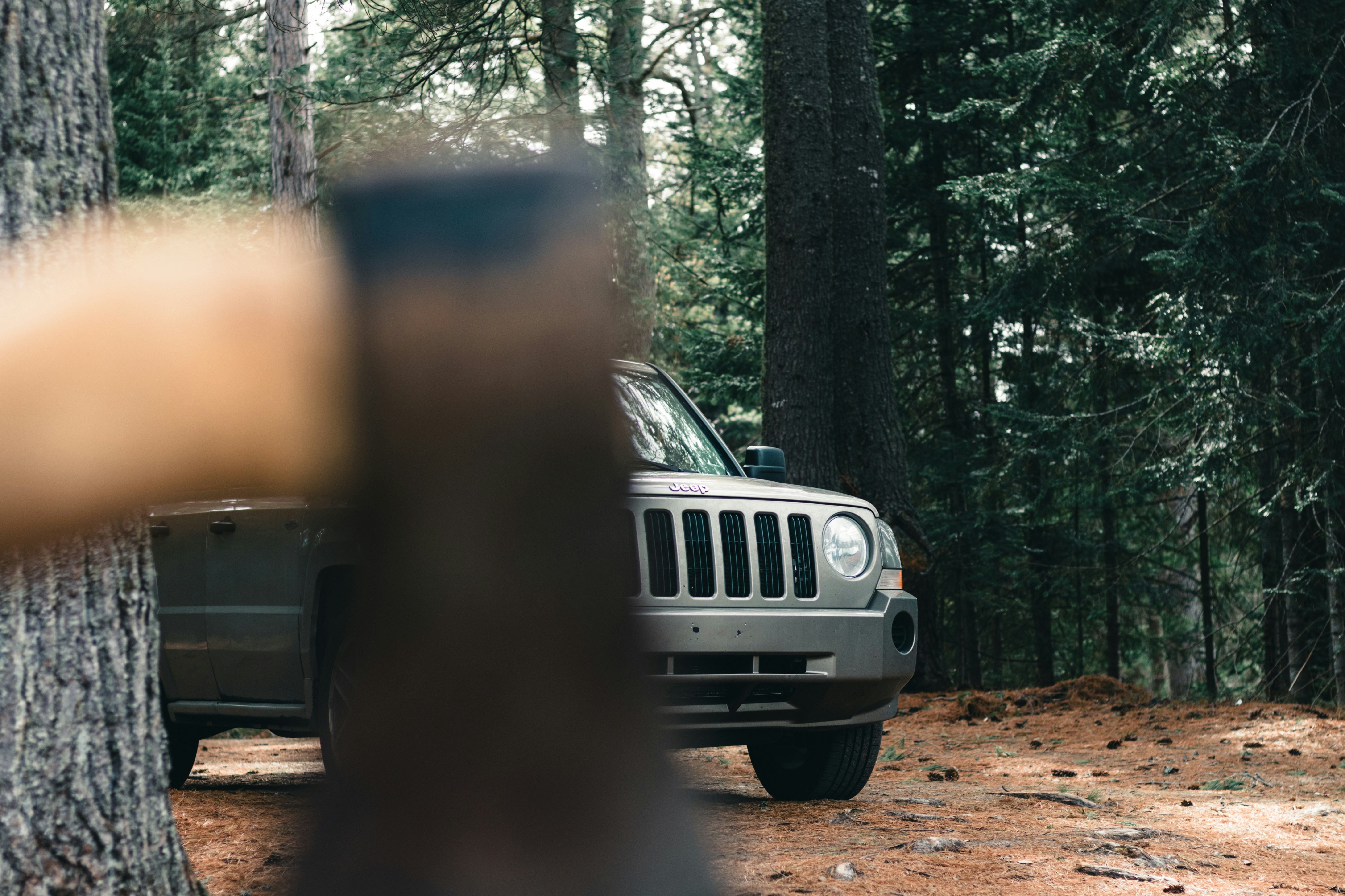 Hidden Jeep Emerges from the Forest Fog