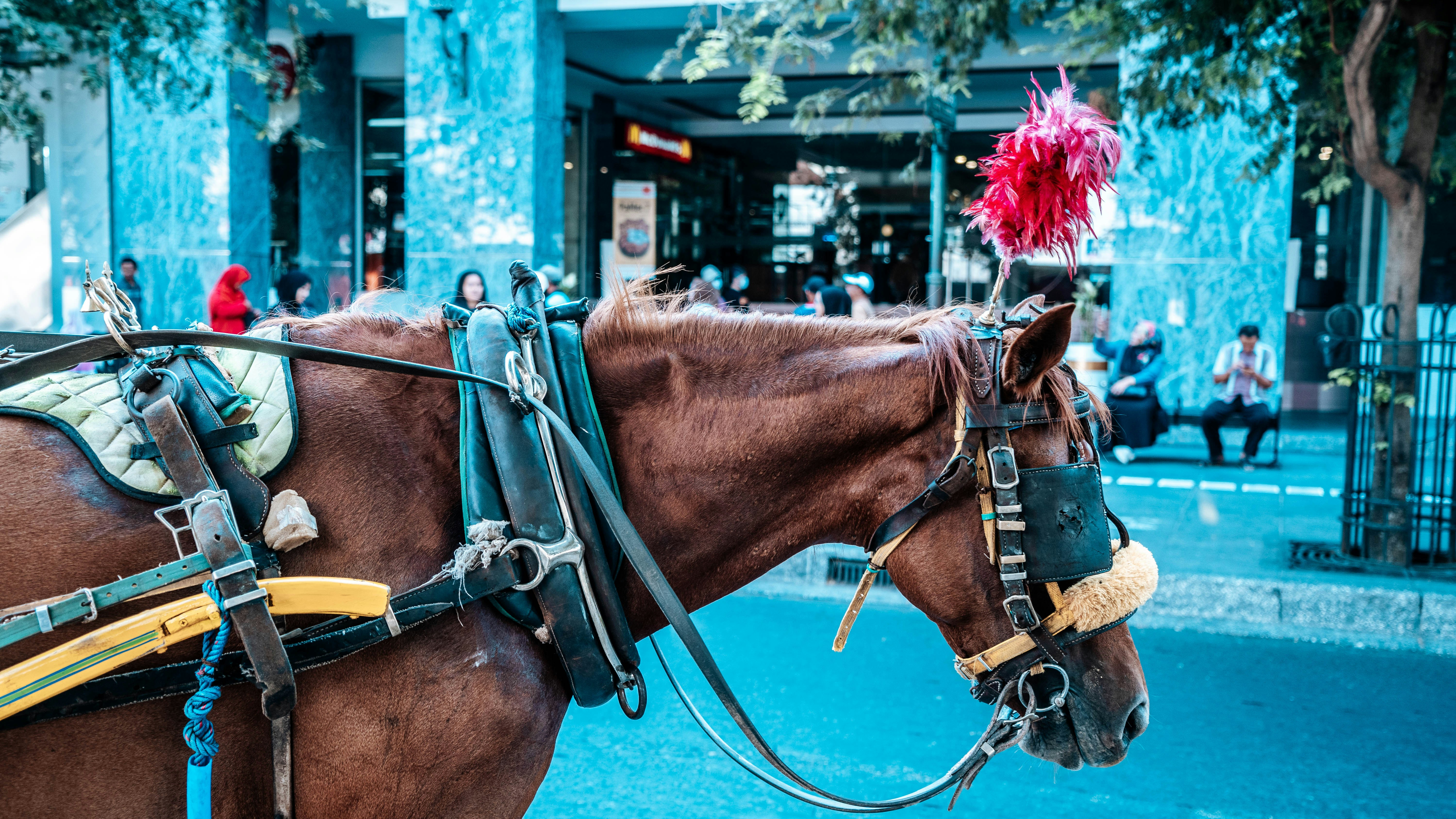 Blue Street Equine: The Right-Horse in a Neon-Blue City Frame