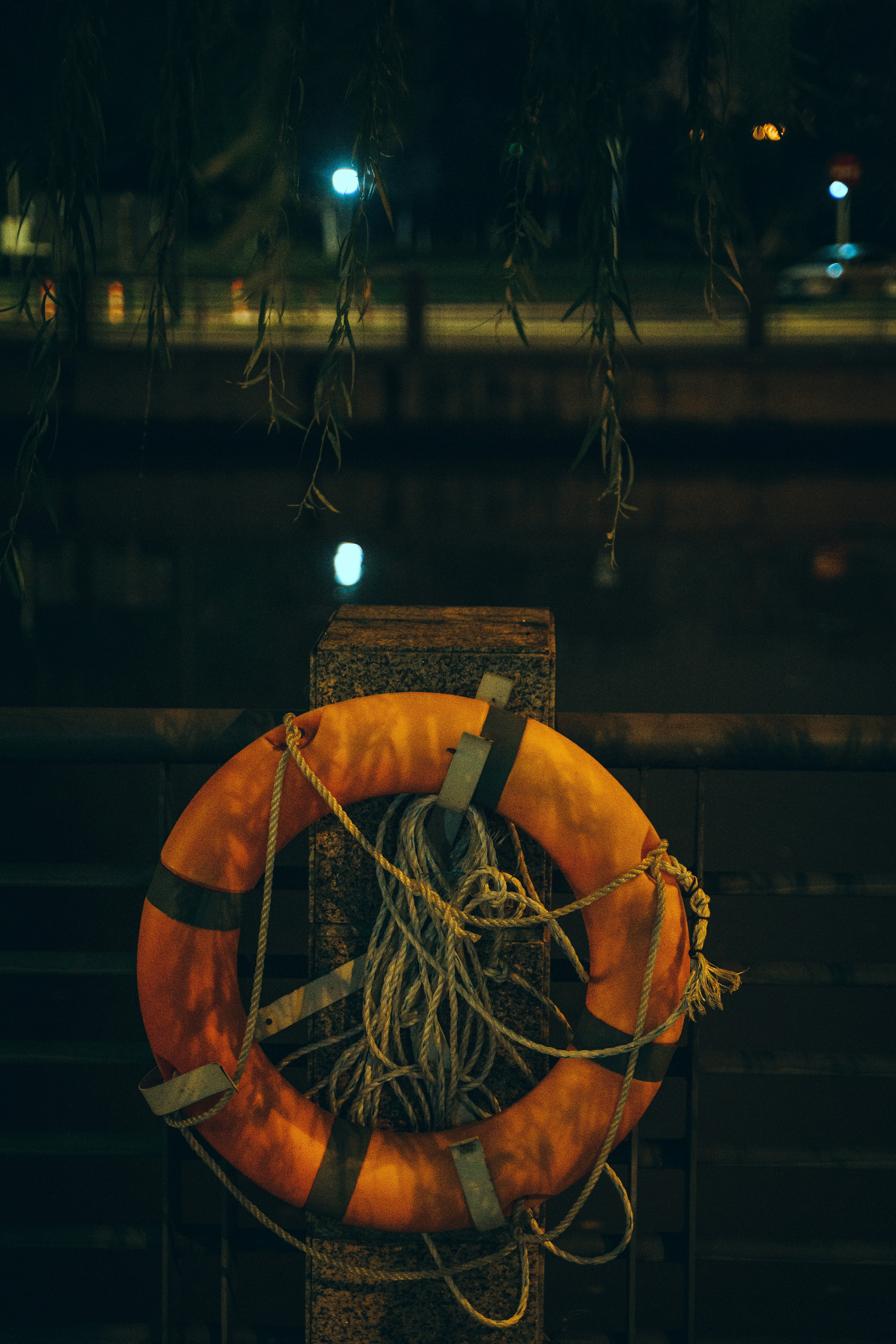A life preserver with ropes and a life preserver photo – Free Brown ...