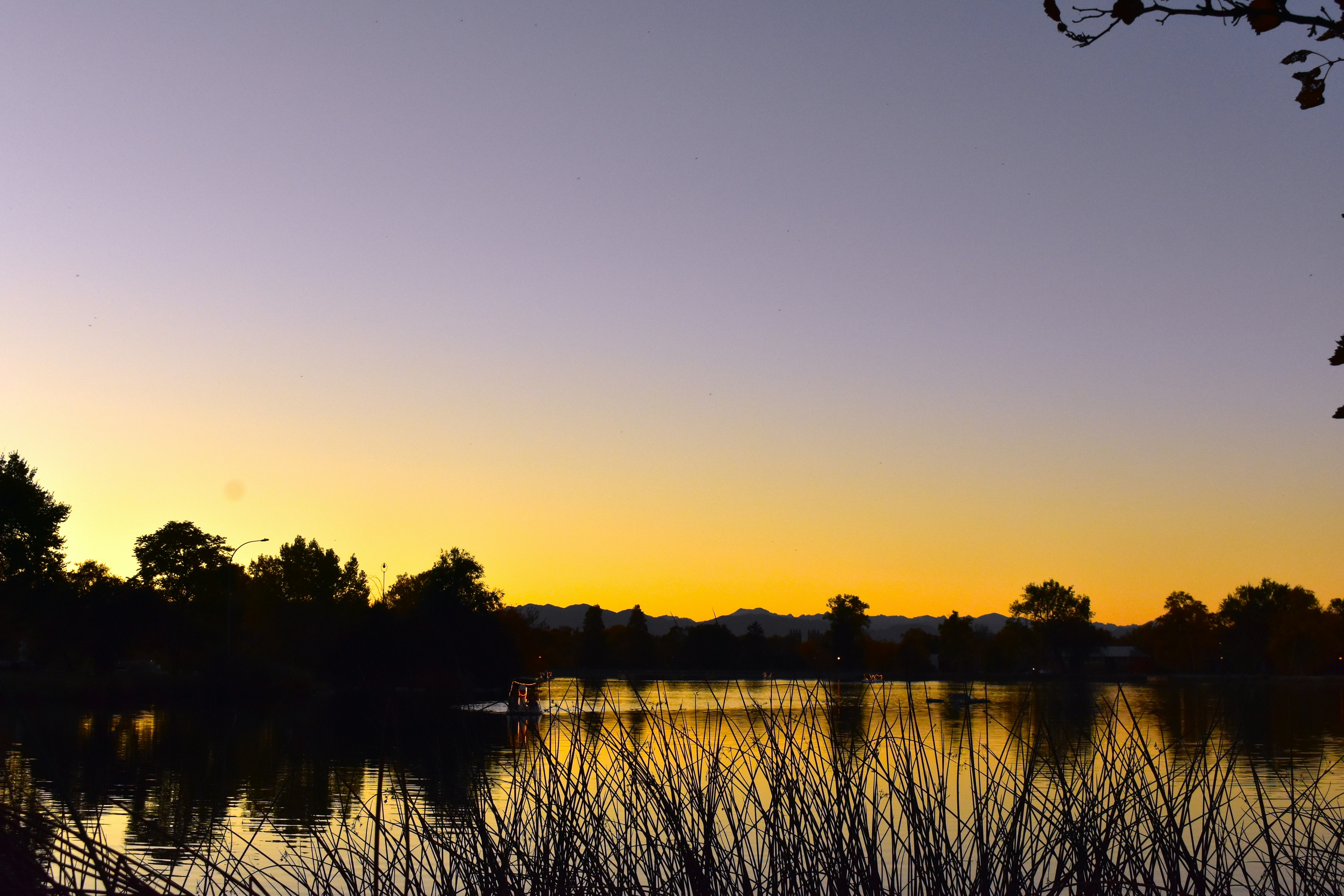 The sun is setting over a lake with tall grass photo – Free Lake Image ...