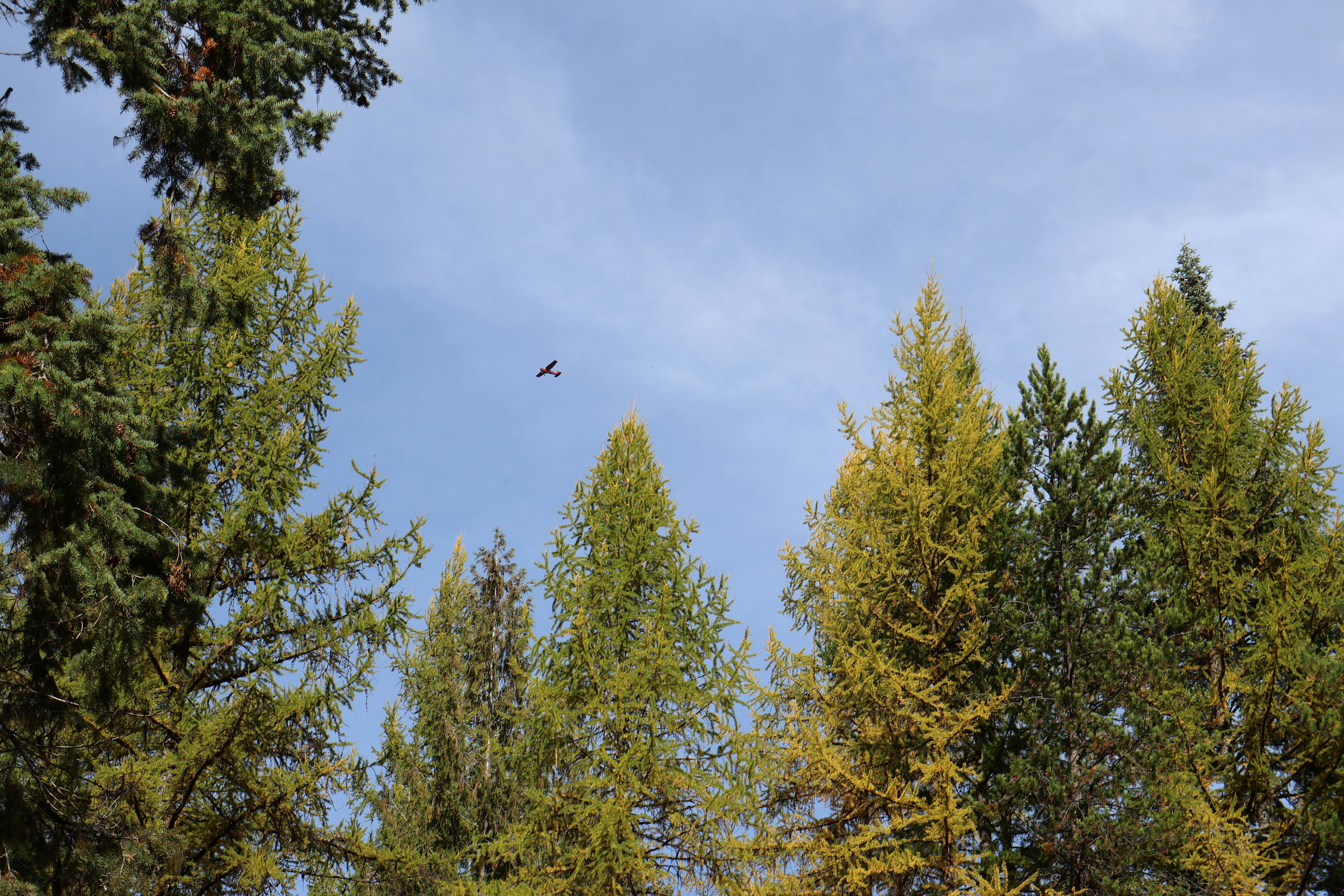 Photo by Mission Pilot with Canon EOS R50