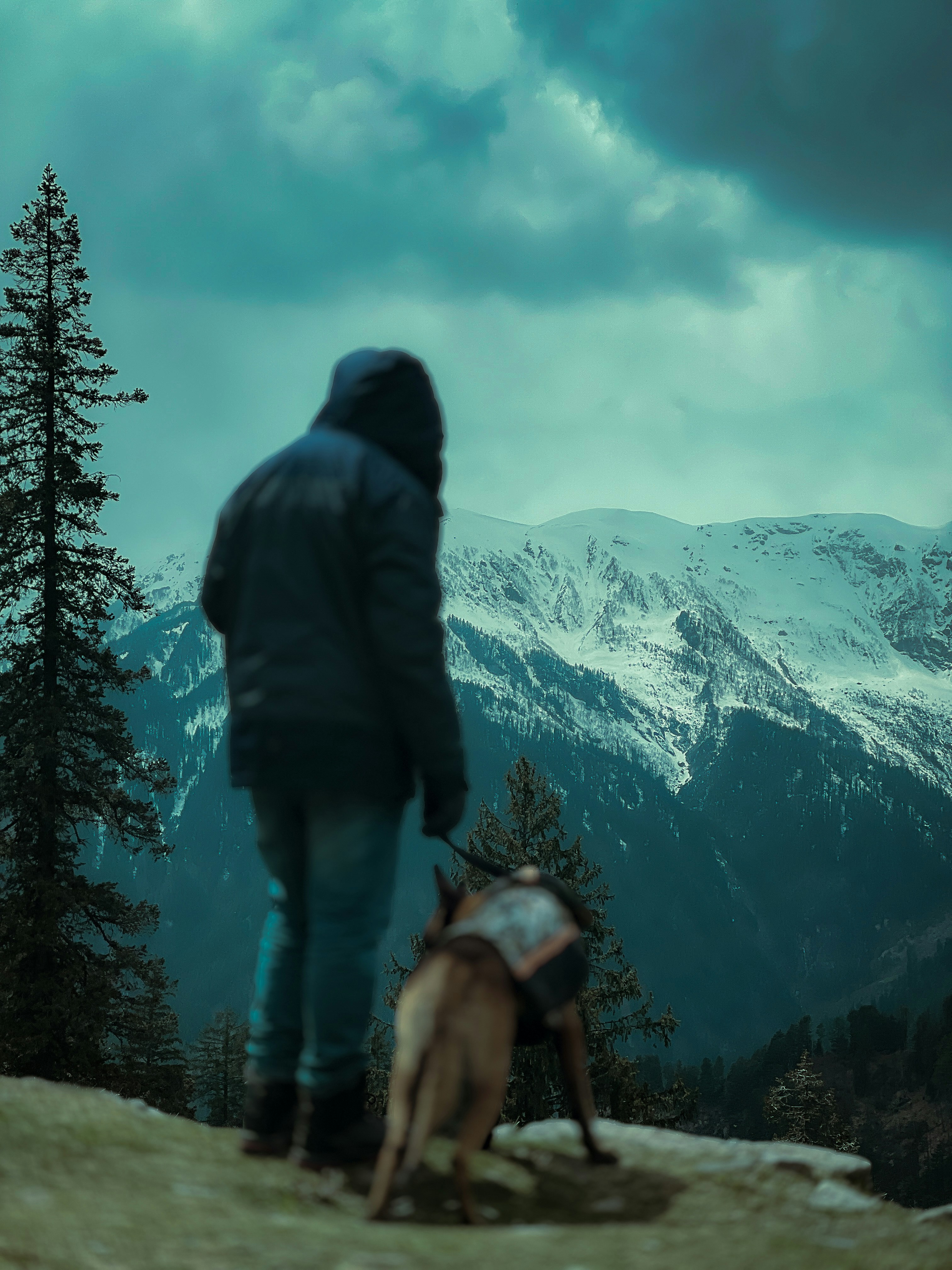 Guardian on the Ridge: A Hiker and Dog Against Snowy Peaks