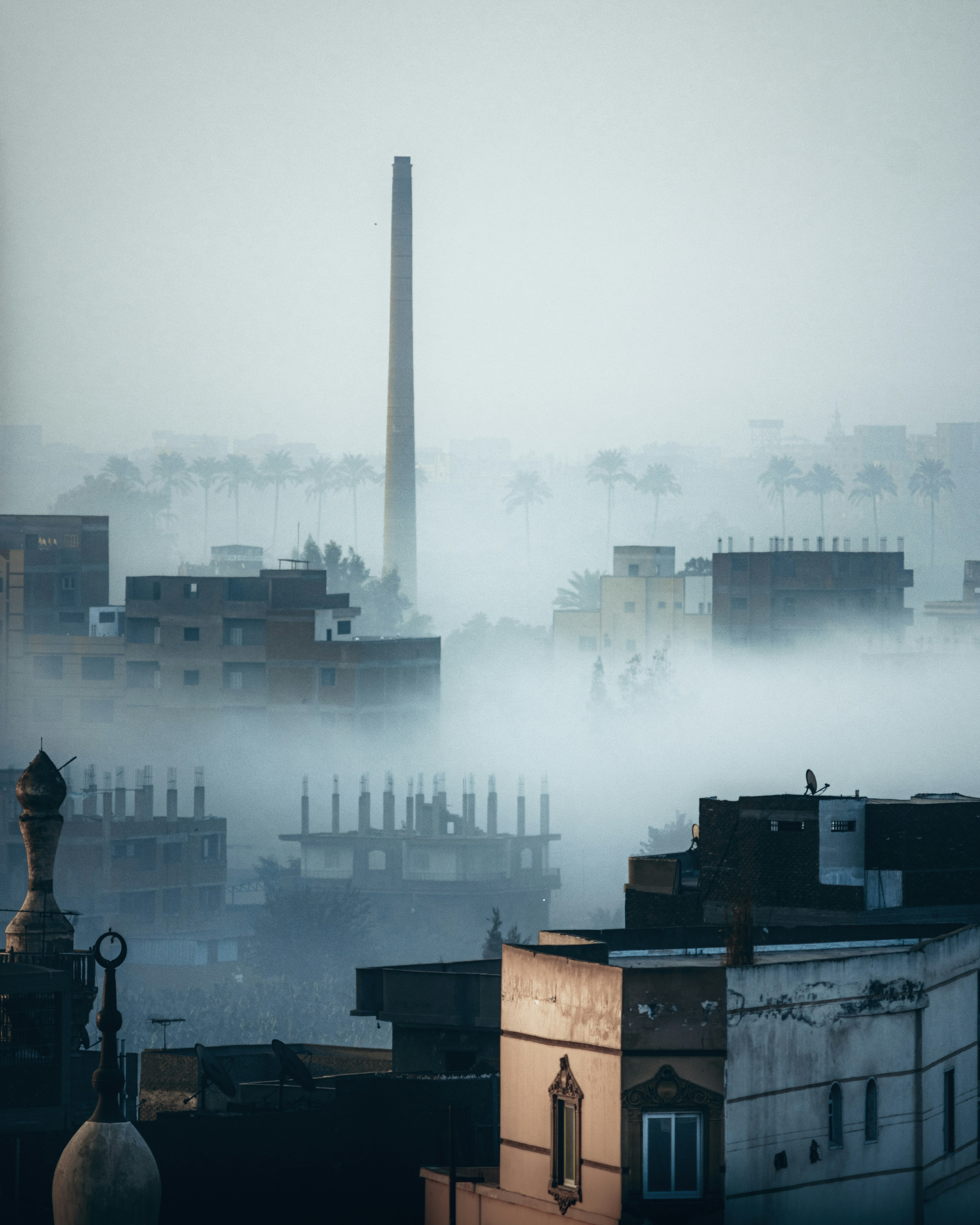 Chimney in the Mist: Dawn over a Palm-Lined City
