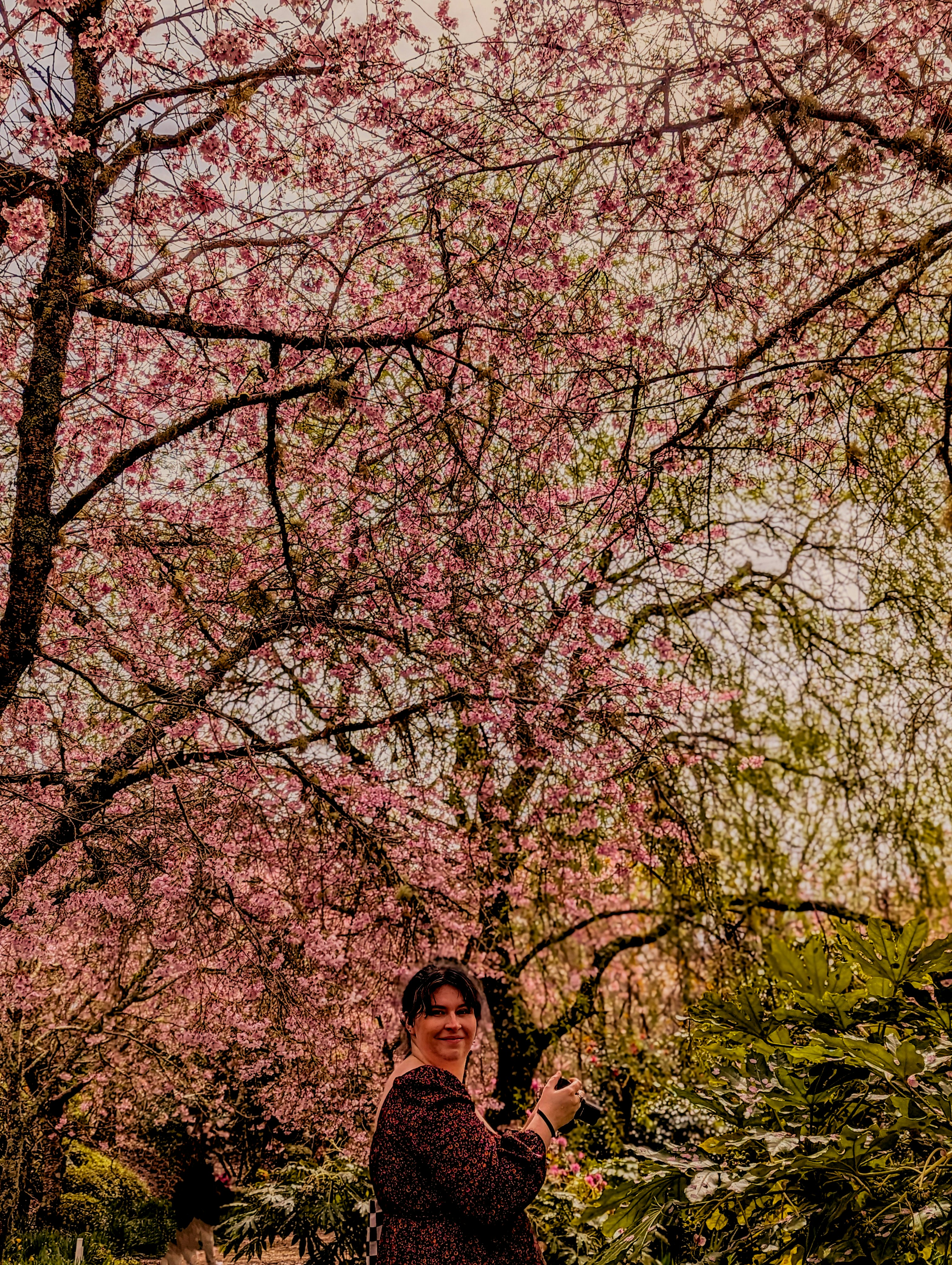 Blossoms and a Gentle Selfie beneath Spring Canopy
