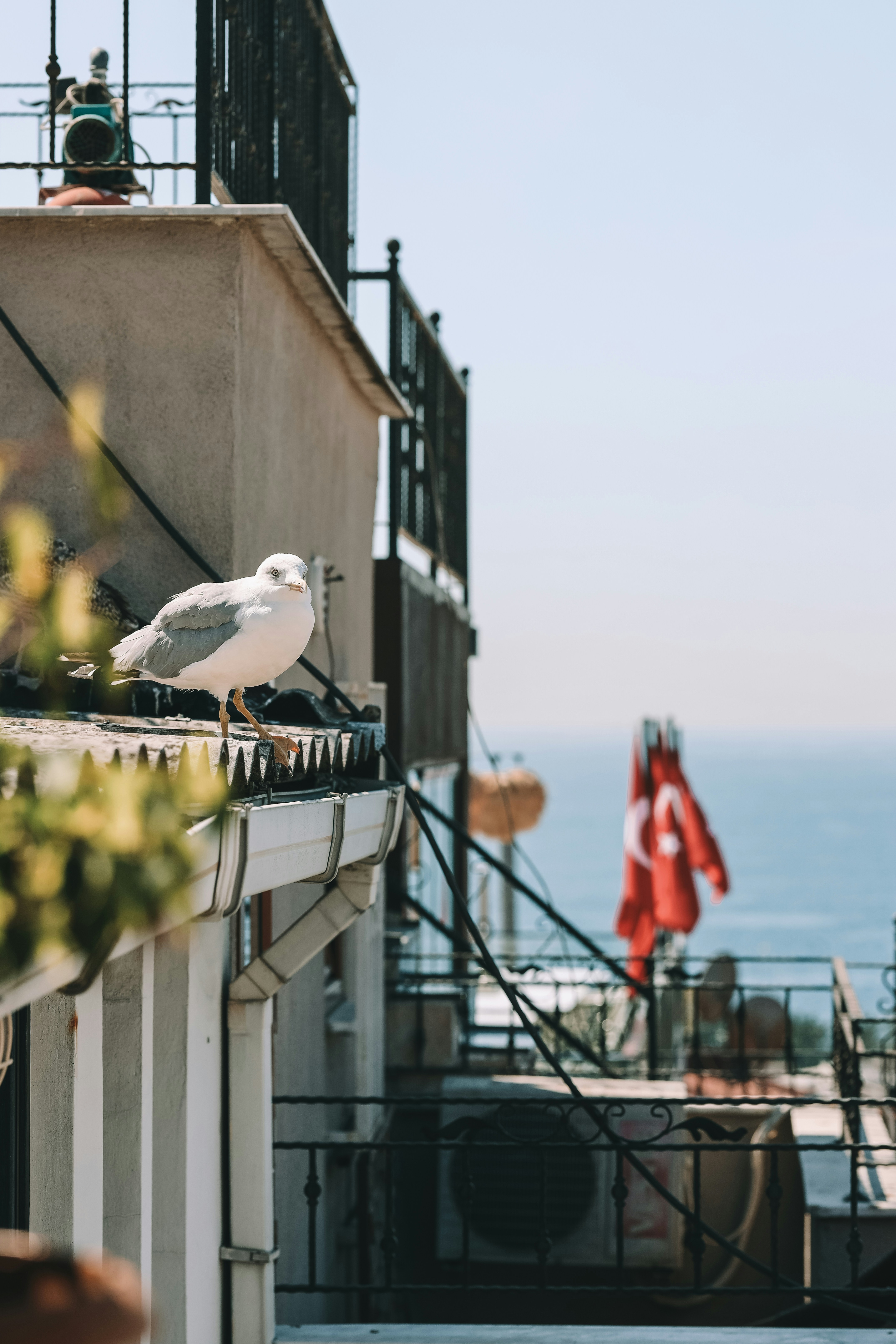 Photo by Ibrahim guetar with Canon EOS R