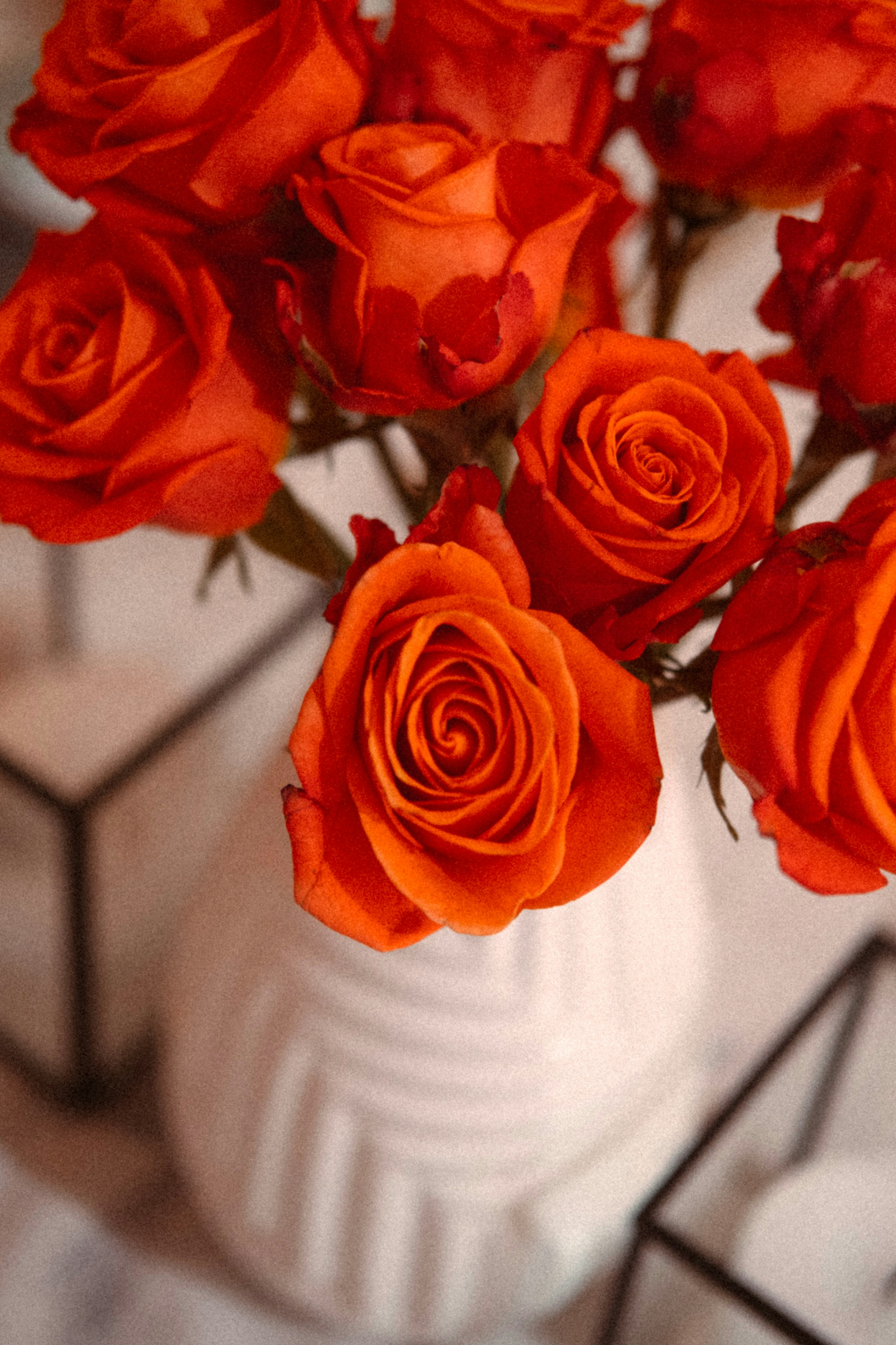 Bouquet of orange roses arranged in a textured white vase, set against a subtle backdrop of geometric shapes.