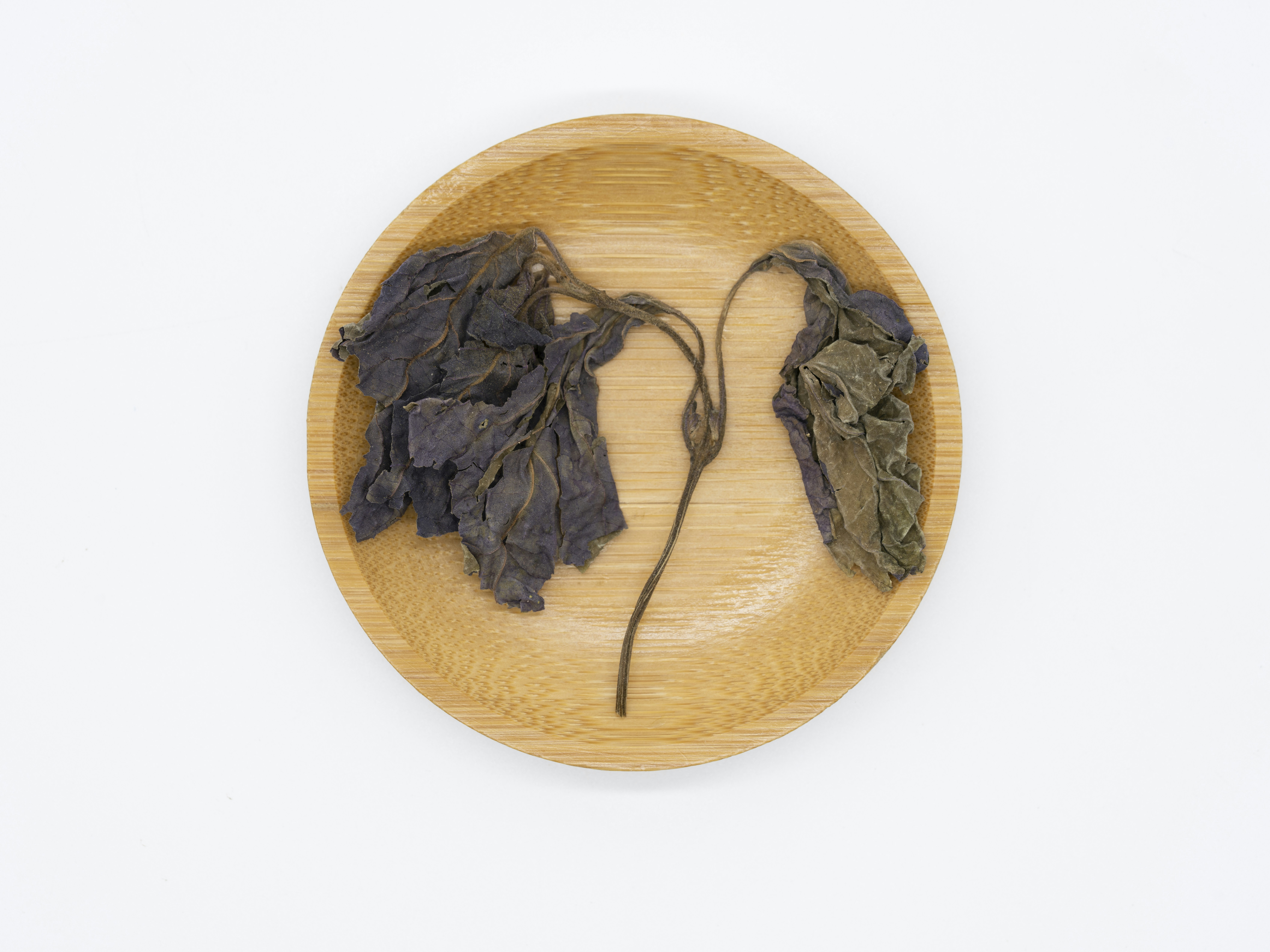 Two dried leaves on a wooden plate on a white background photo – Free ...