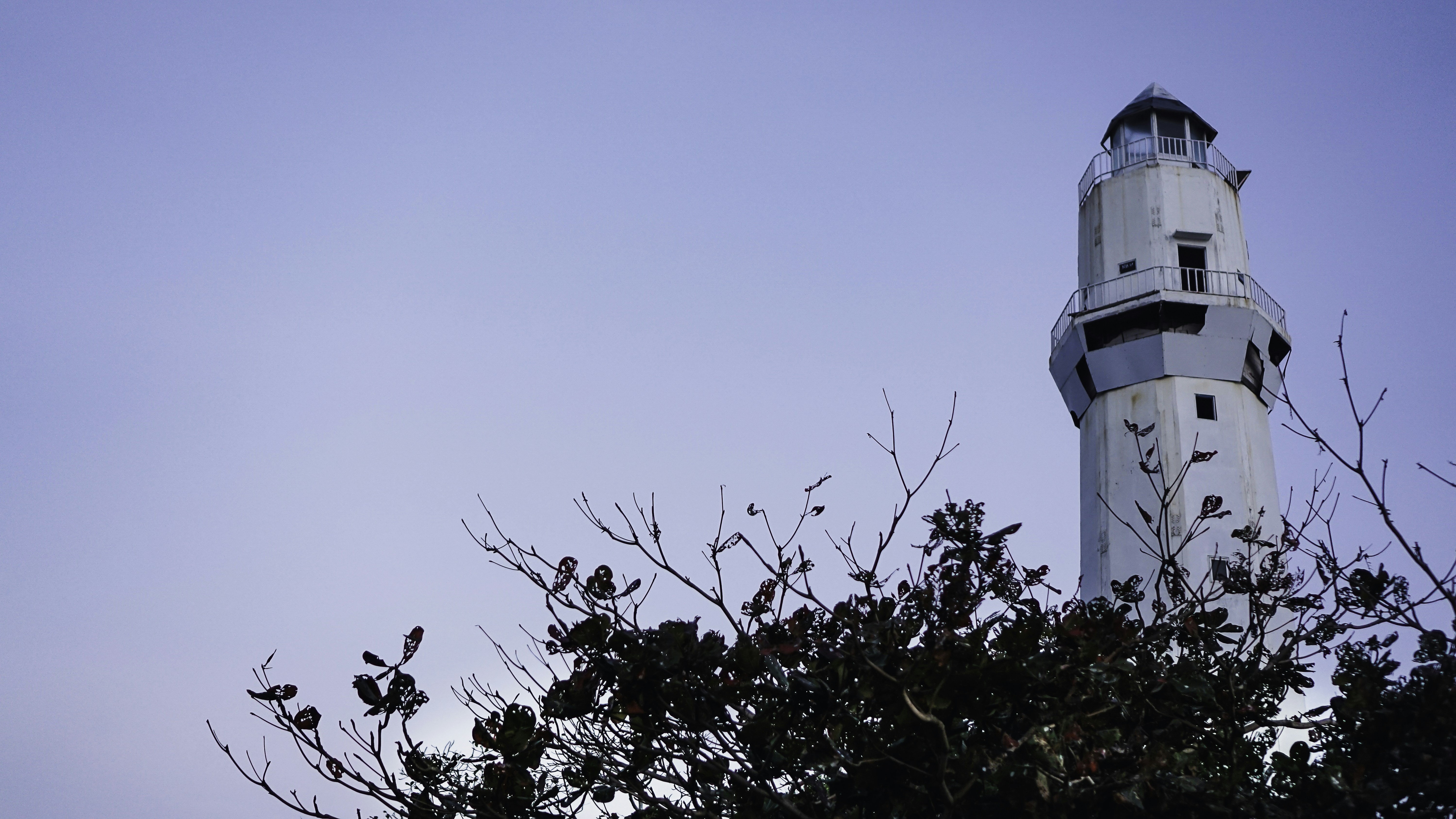 Lighthouse at the Edge of a Pale Blue Sky, Framed by Bare Branches