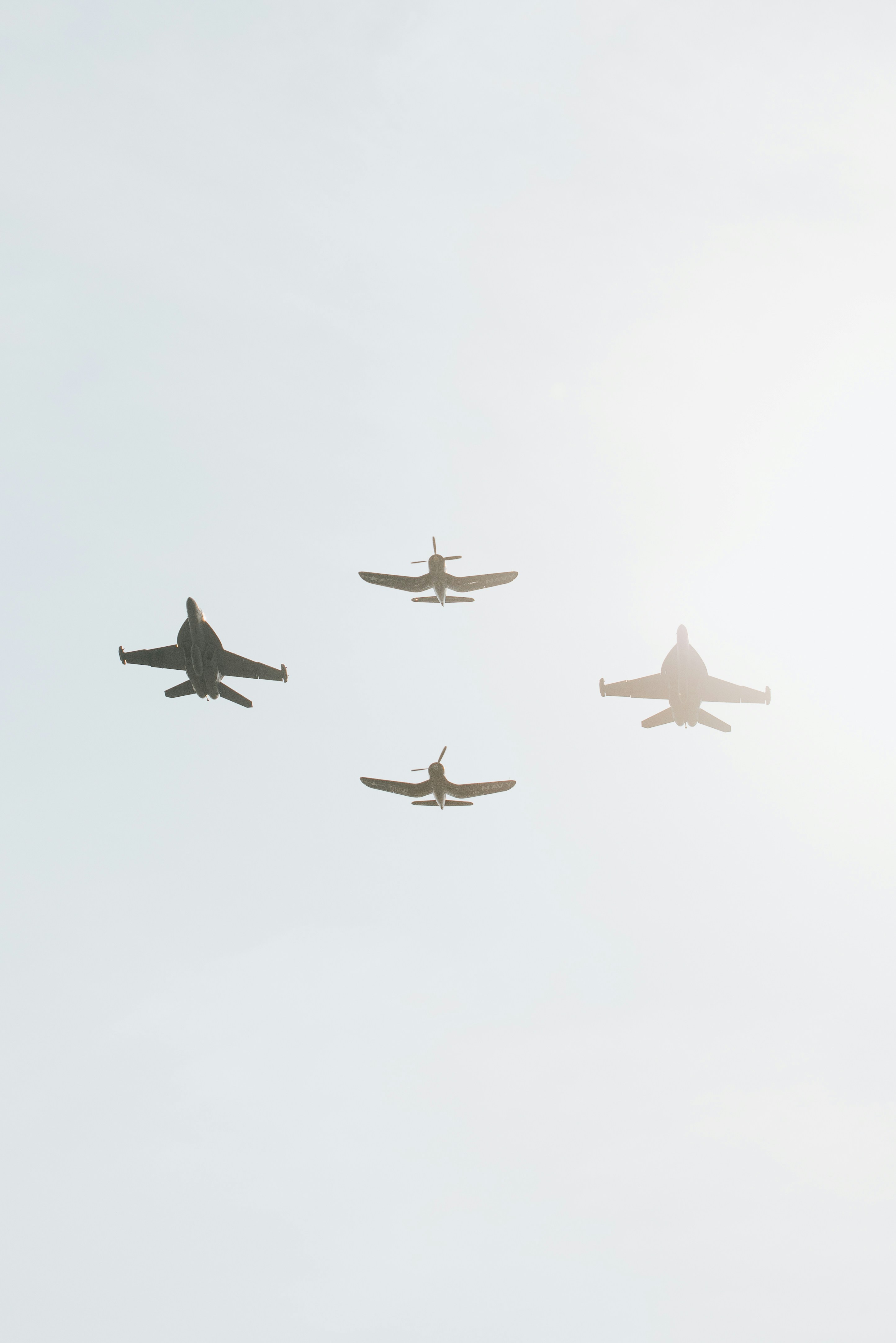 A group of four planes flying in the sky photo – Free Animal Image on ...