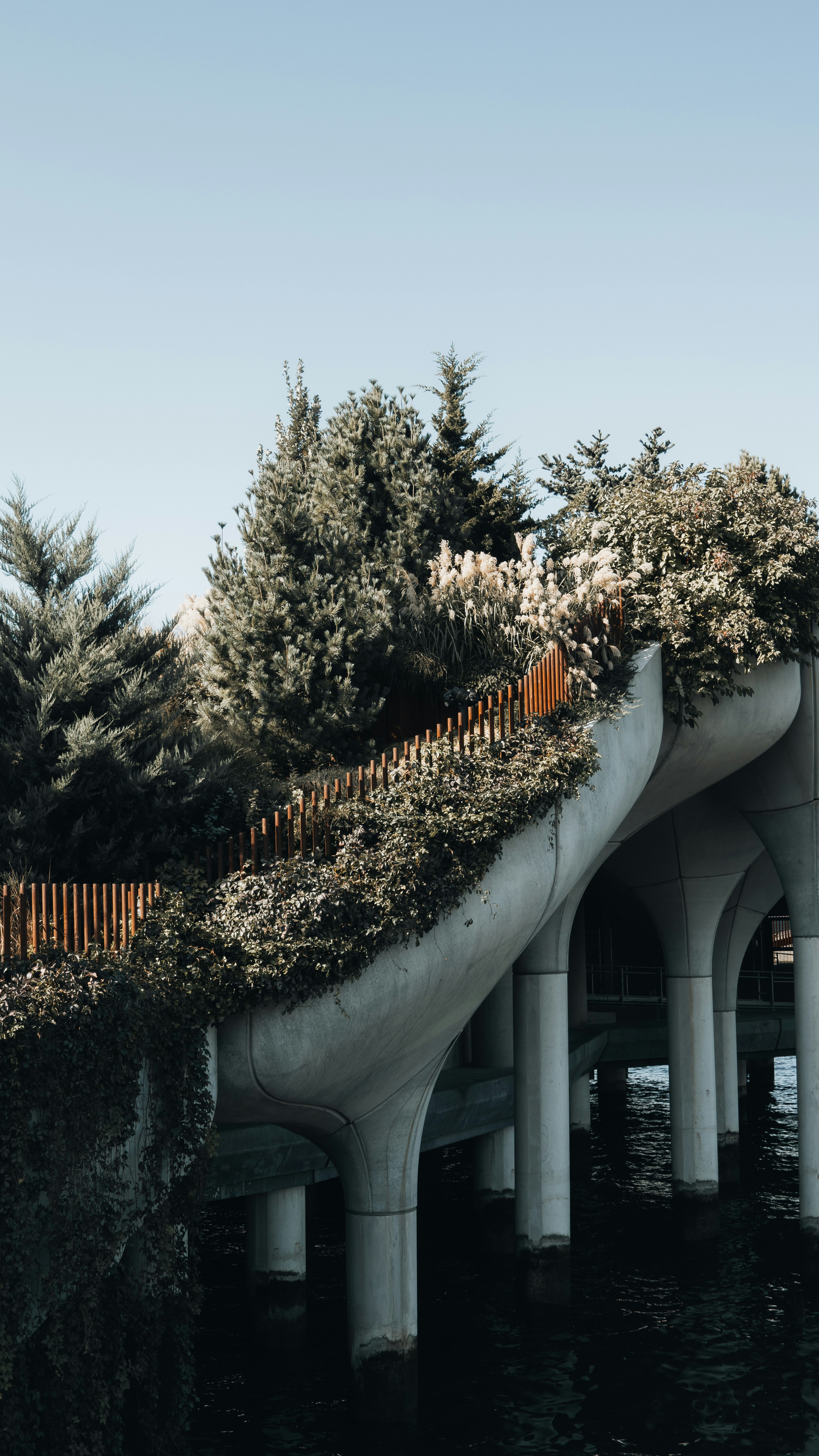 Verdant Arc: A Concrete Ramp Wreathed in Plants Over Quiet Water