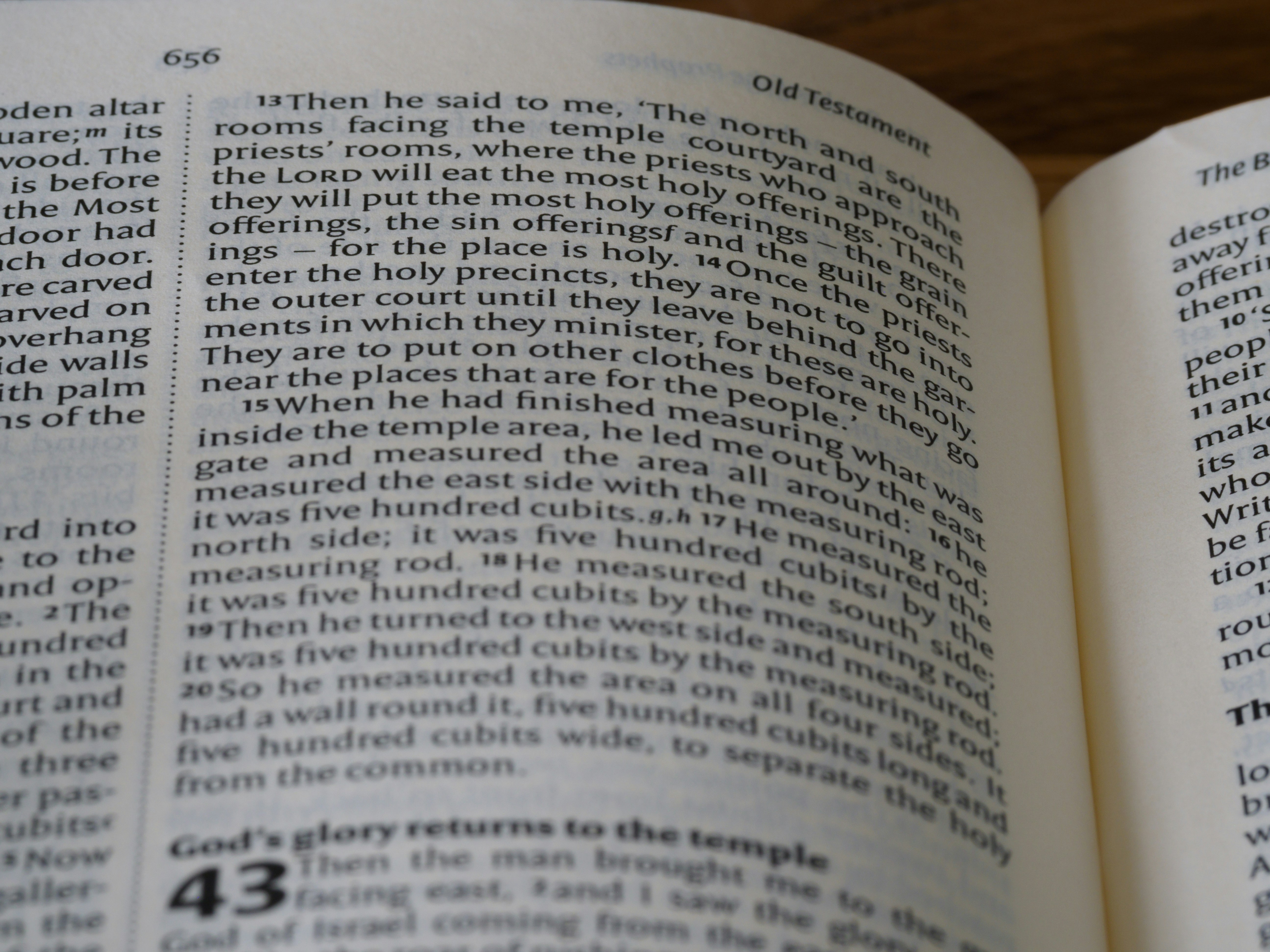 Verse-by-Verse Reverie: A Quiet Glance Across Page 43