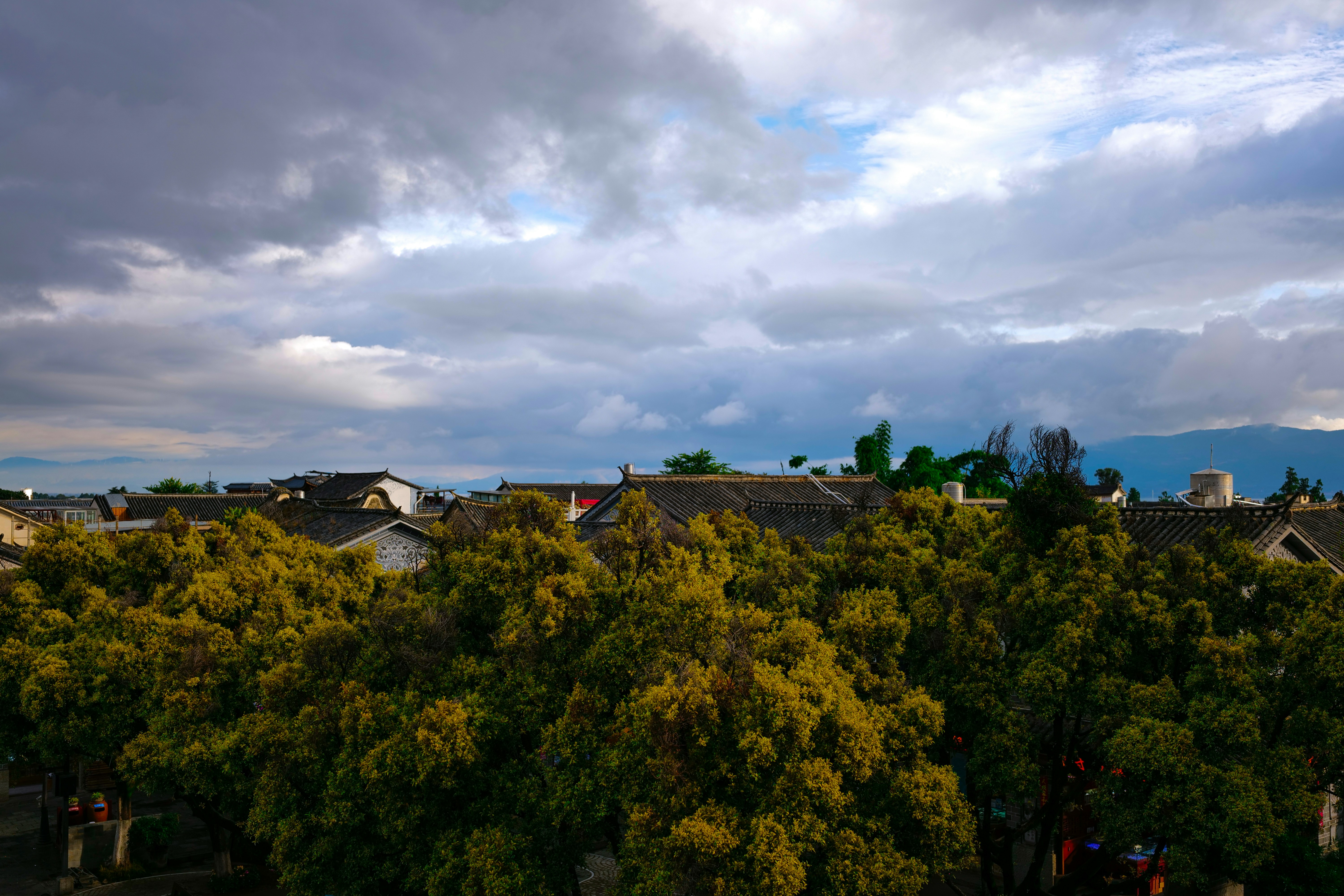 Verdant Crown Over a Quiet Village Roofscape