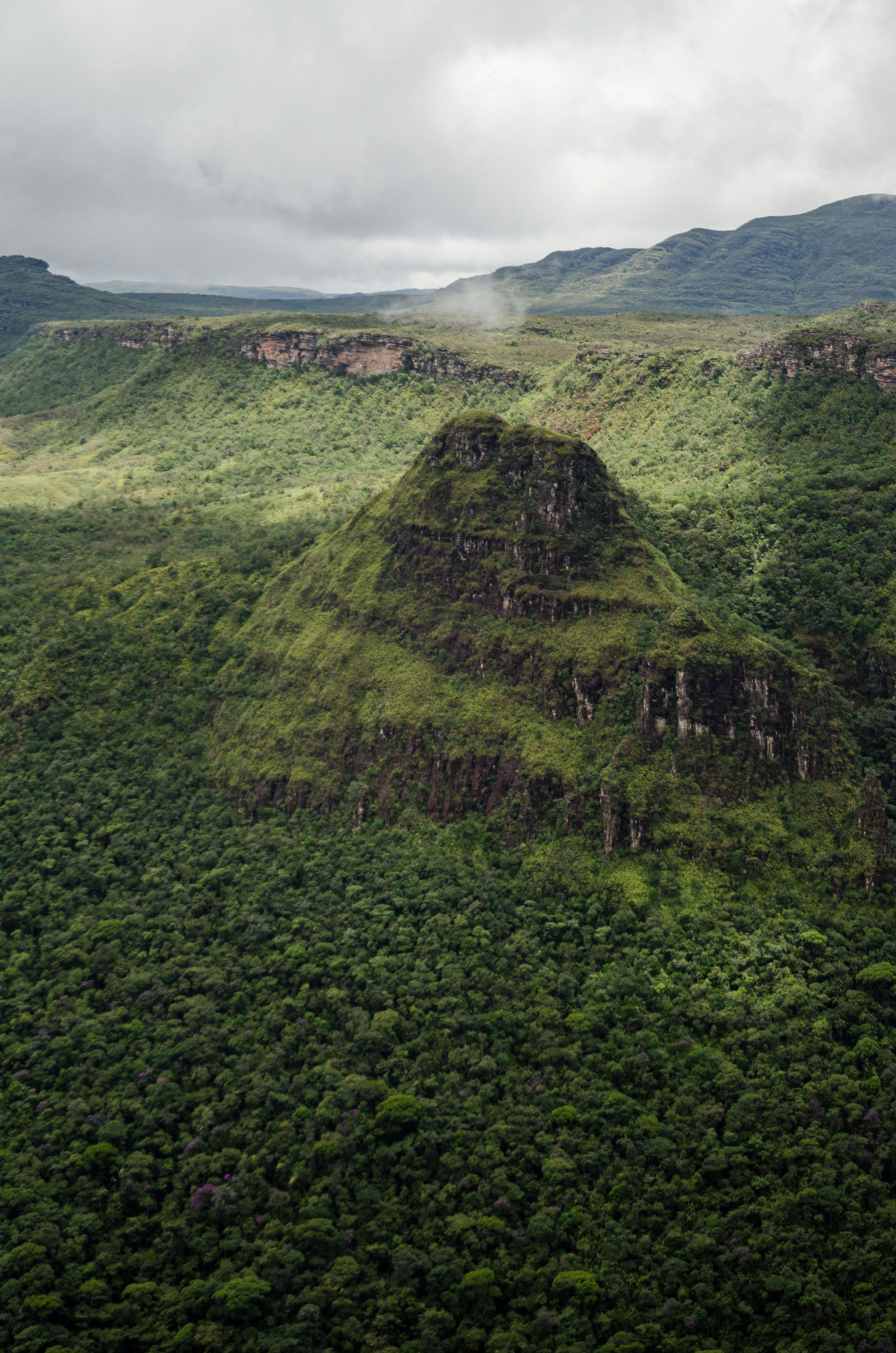 Mossy Sentinel: A Plateau Peak Rising from a Verdant Valley